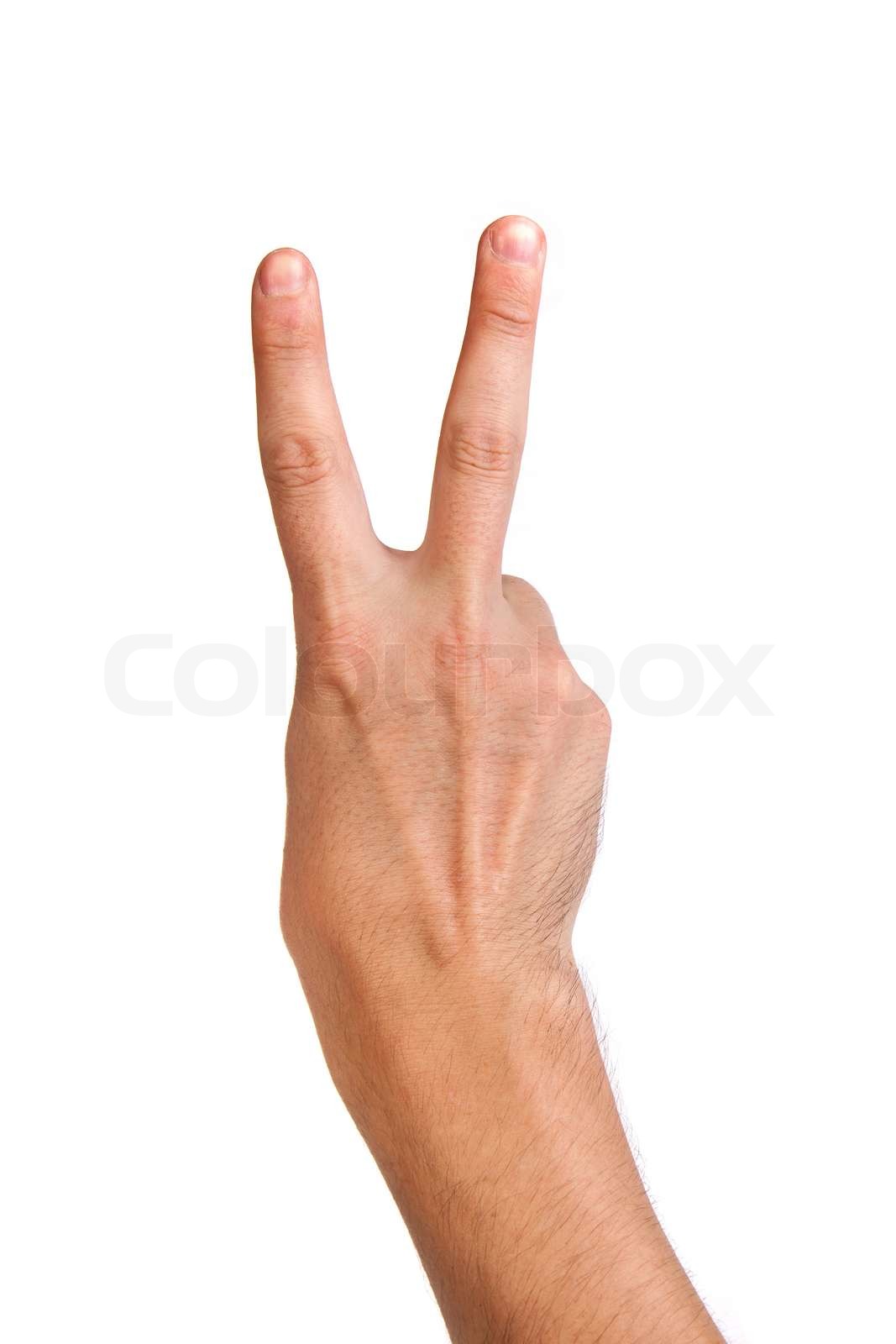 Hand gesture number four closeup isolated on white | Stock image ...