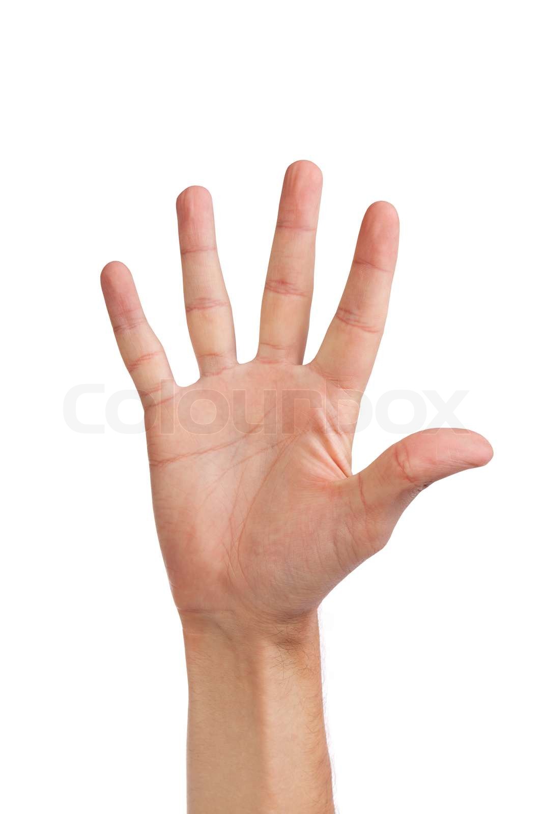Hand gesture number five closeup isolated on white | Stock image ...