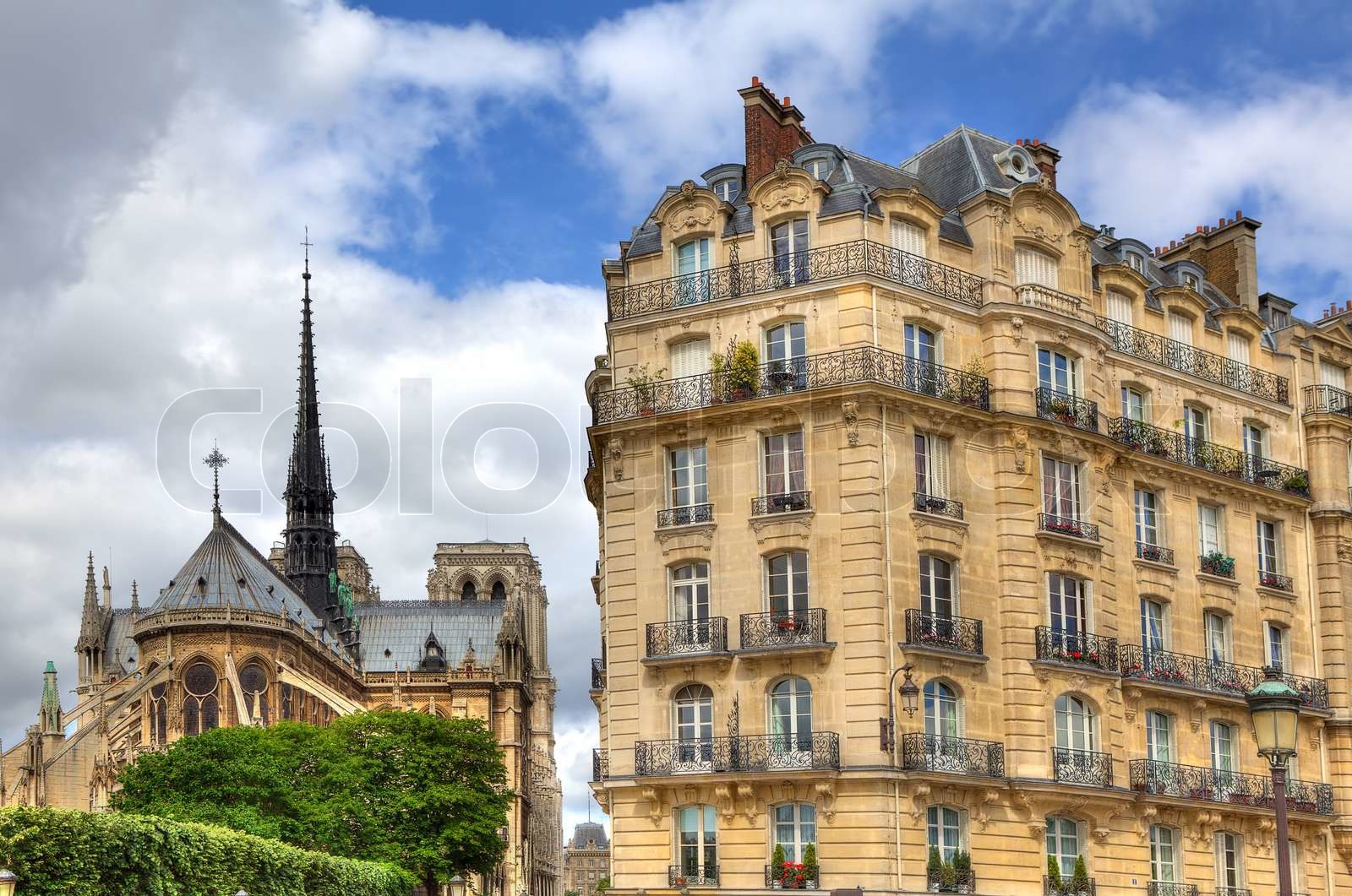 Parisian building and Notre Dame de Paris cathedral in Paris, France ...