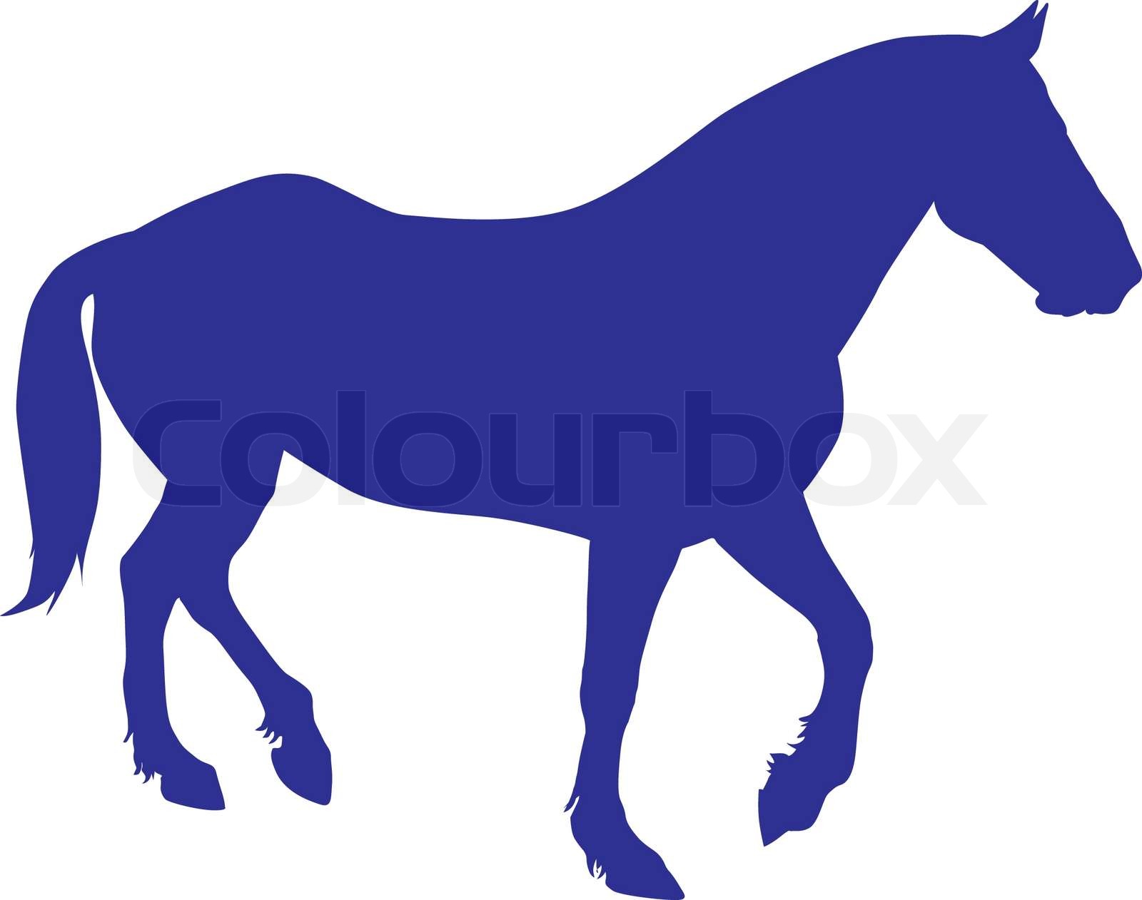 Vector horse | Stock vector | Colourbox
