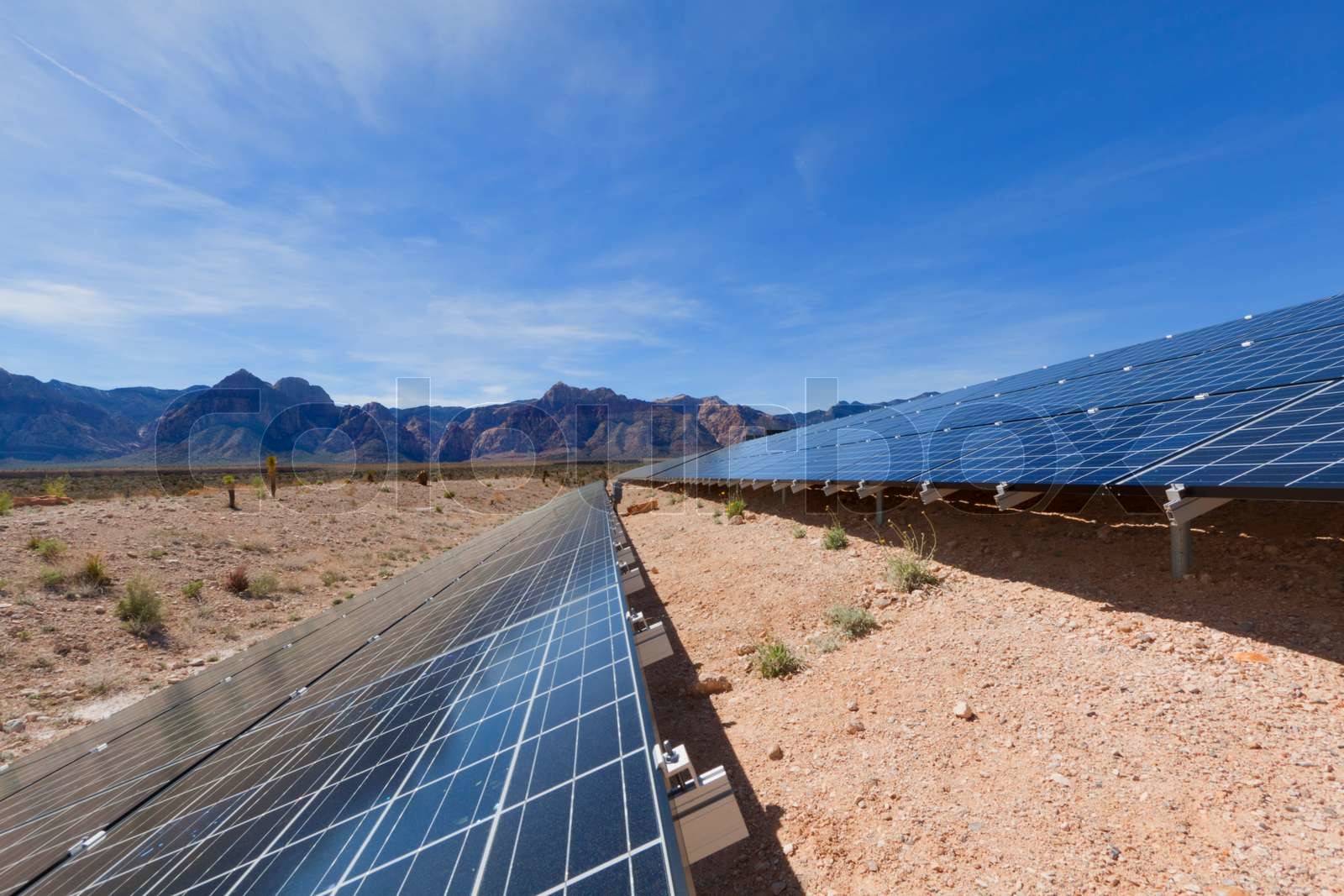 Solar panels in the Mojave Desert | Stock image | Colourbox