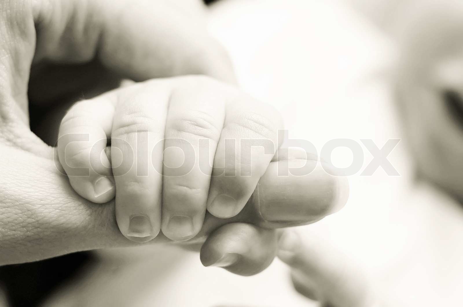 mor, baby, hånd | Stock foto | Colourbox
