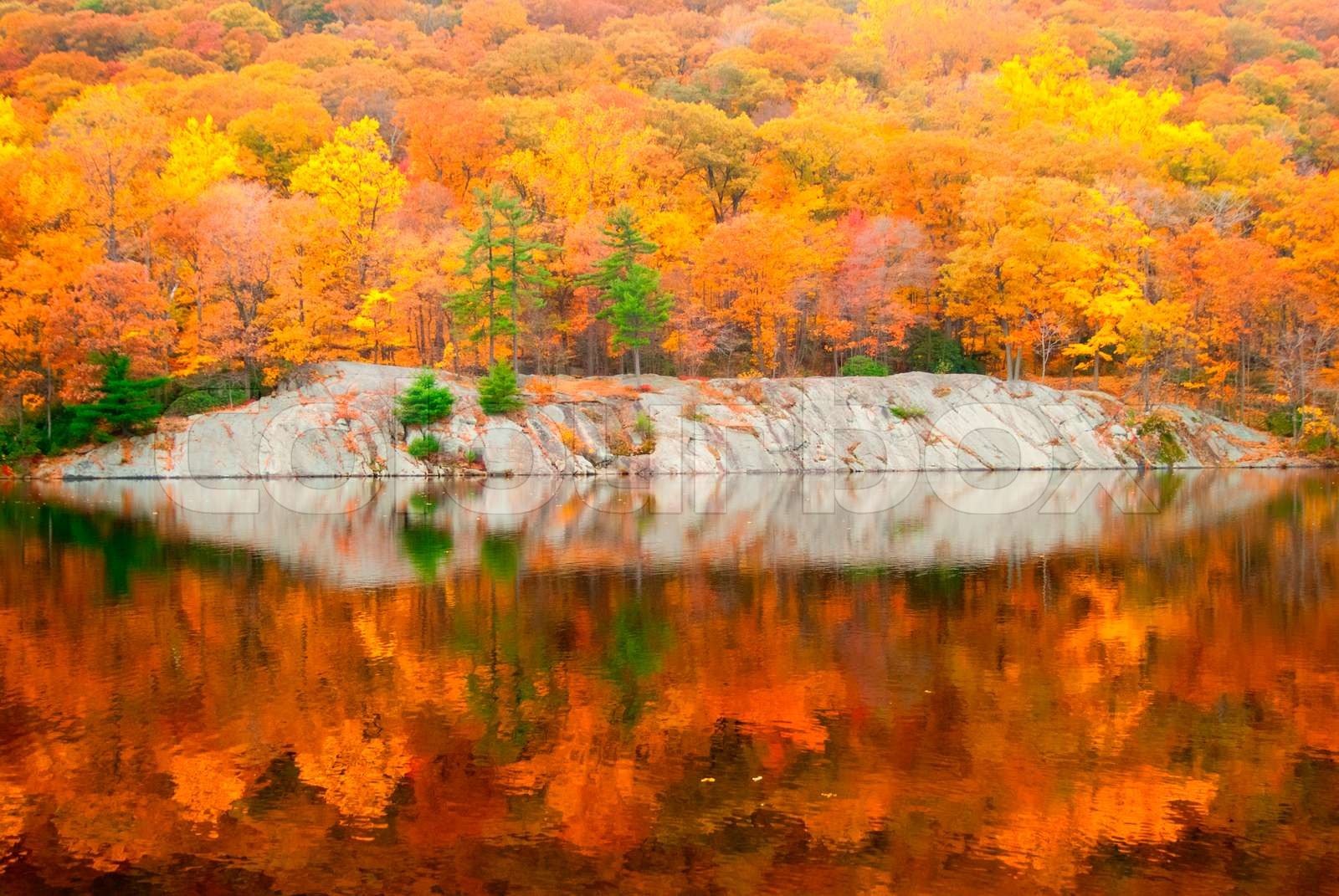 Beautiful fall colors reflecting in the forest lake | Stock image ...