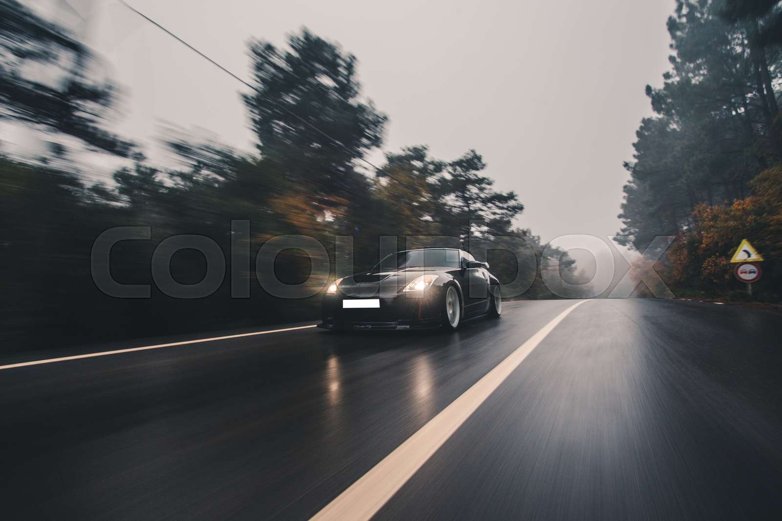 Driving in the rainy weather in the forest with front lights on, moist ...