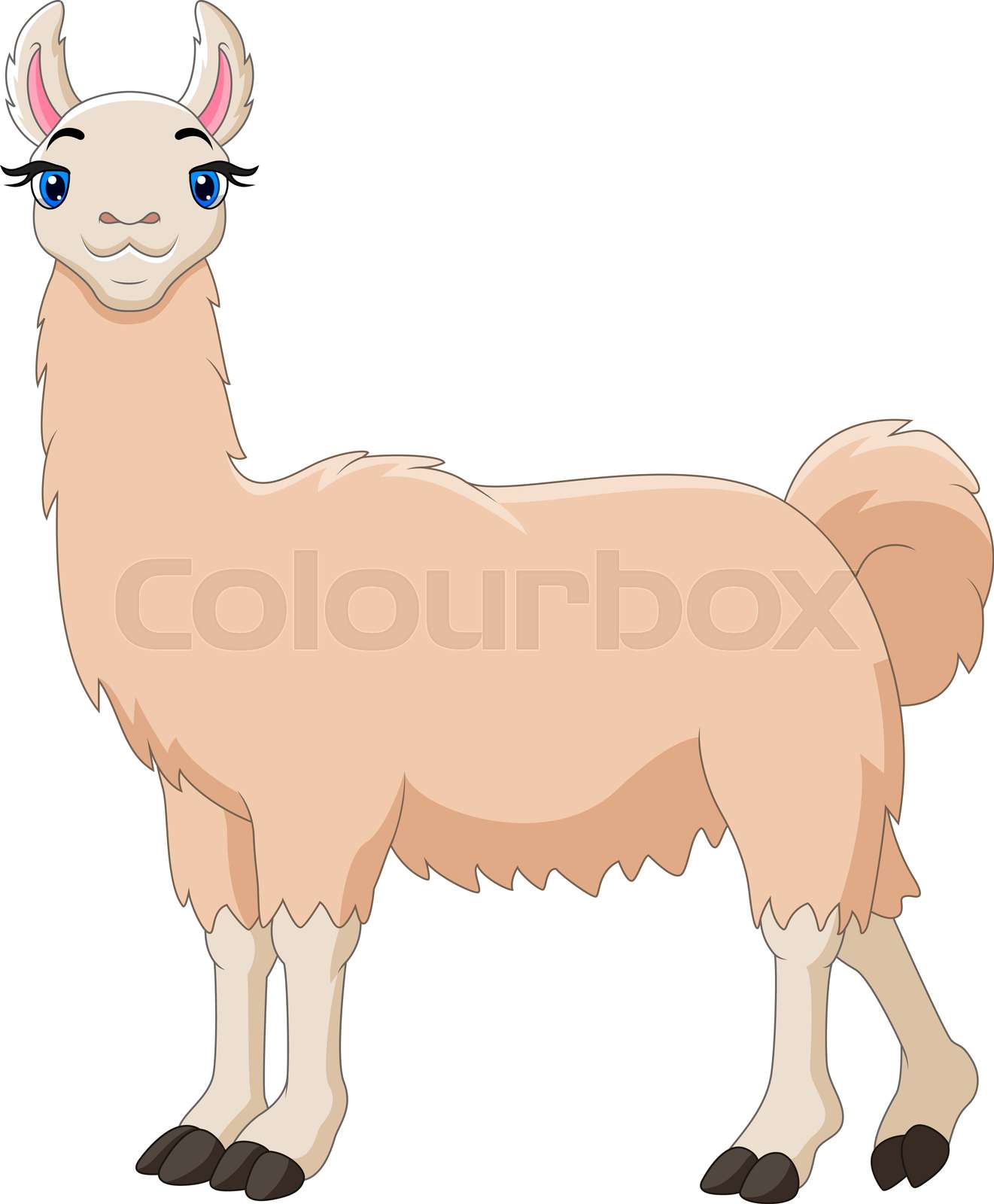 A Cute cartoon llama happy | Stock vector | Colourbox