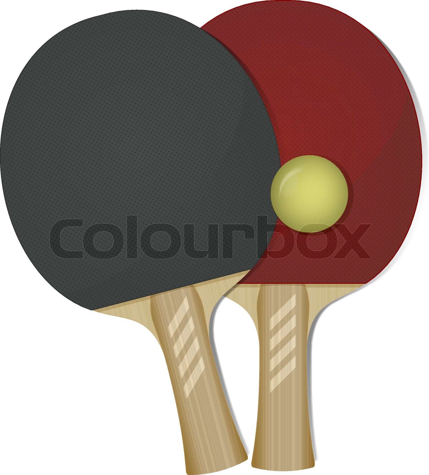 ping-pong rackets and ball, isolated, vector | Stock vector | Colourbox