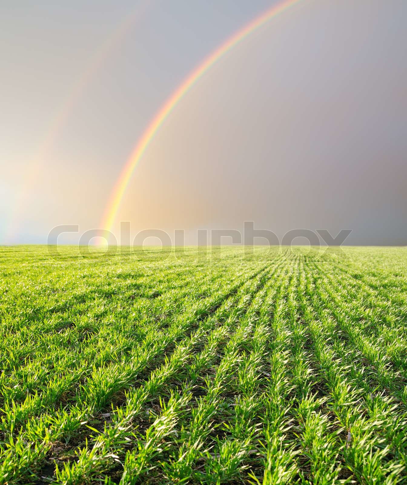 Landscape with a rainbow | Stock image | Colourbox