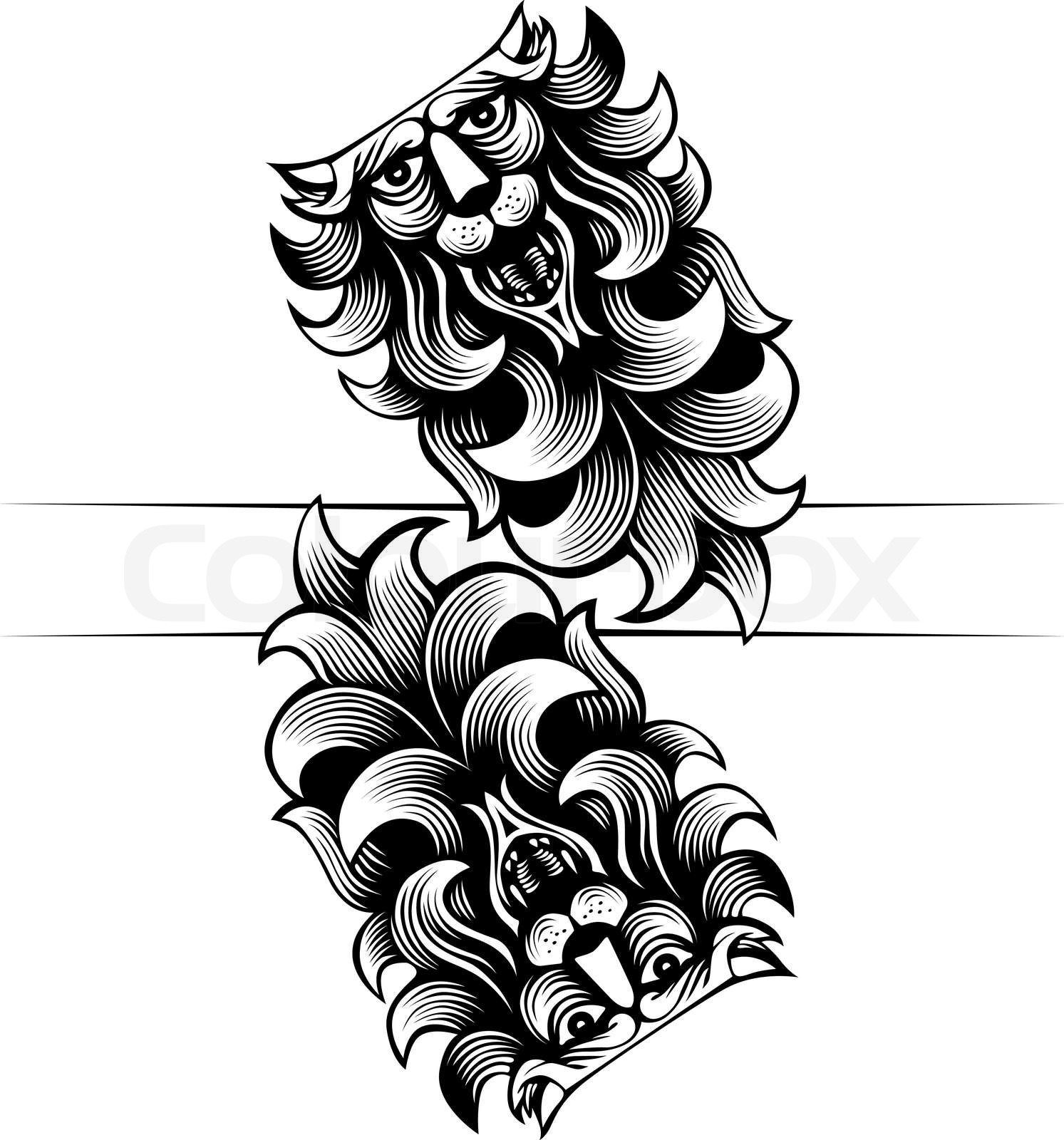 løve, hoved, tegning | Stock vektor | Colourbox