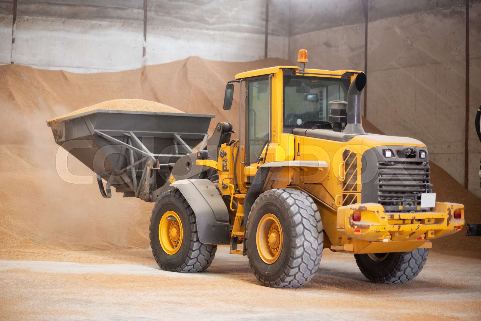 Excavator loader bucket loading grain, close up. Big heap of grain in a ...