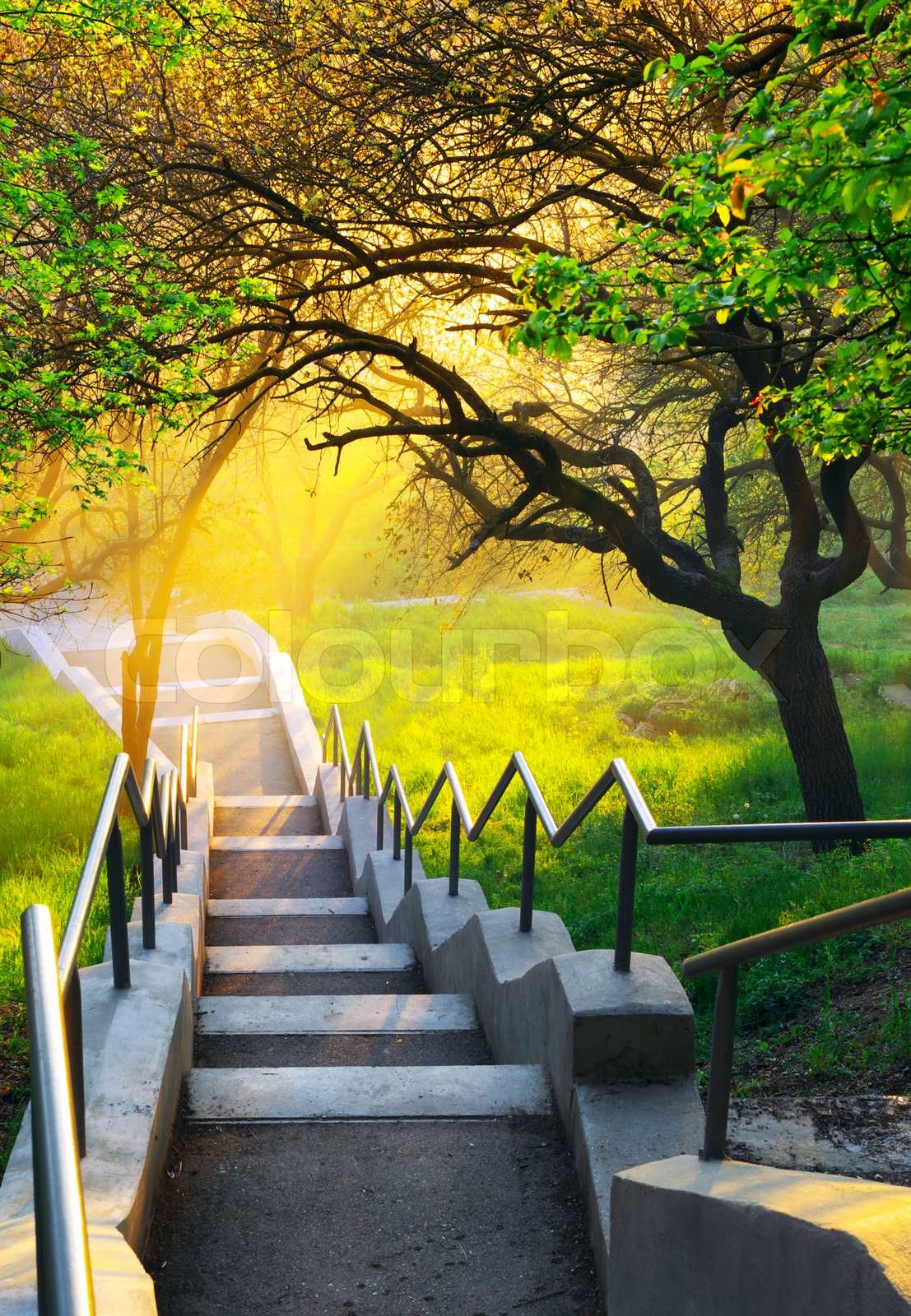 Staircase | Stock image | Colourbox