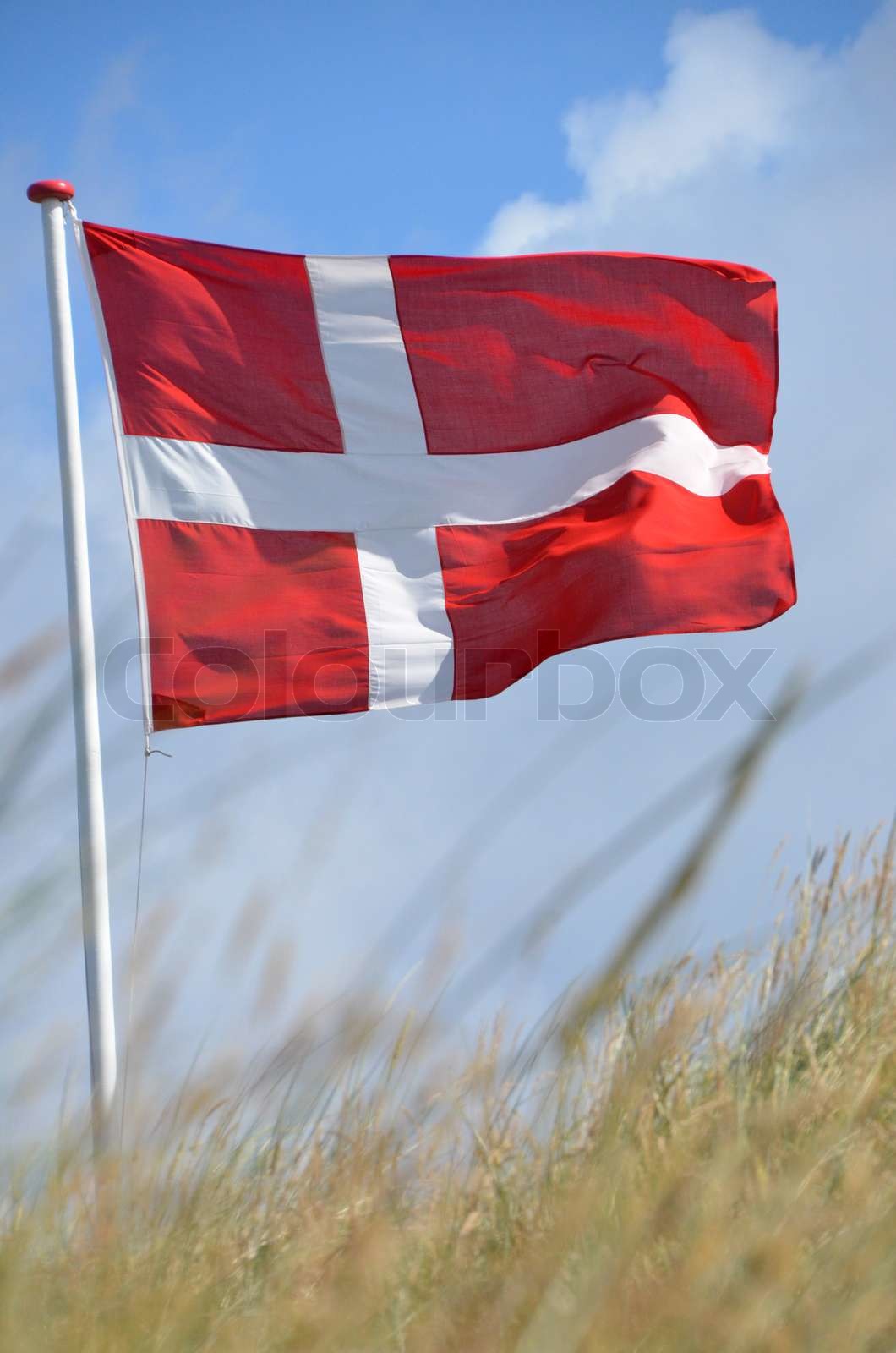 Dansk flag Dannebrog i klitterne ved Vesterhavet og Vestkysten ...