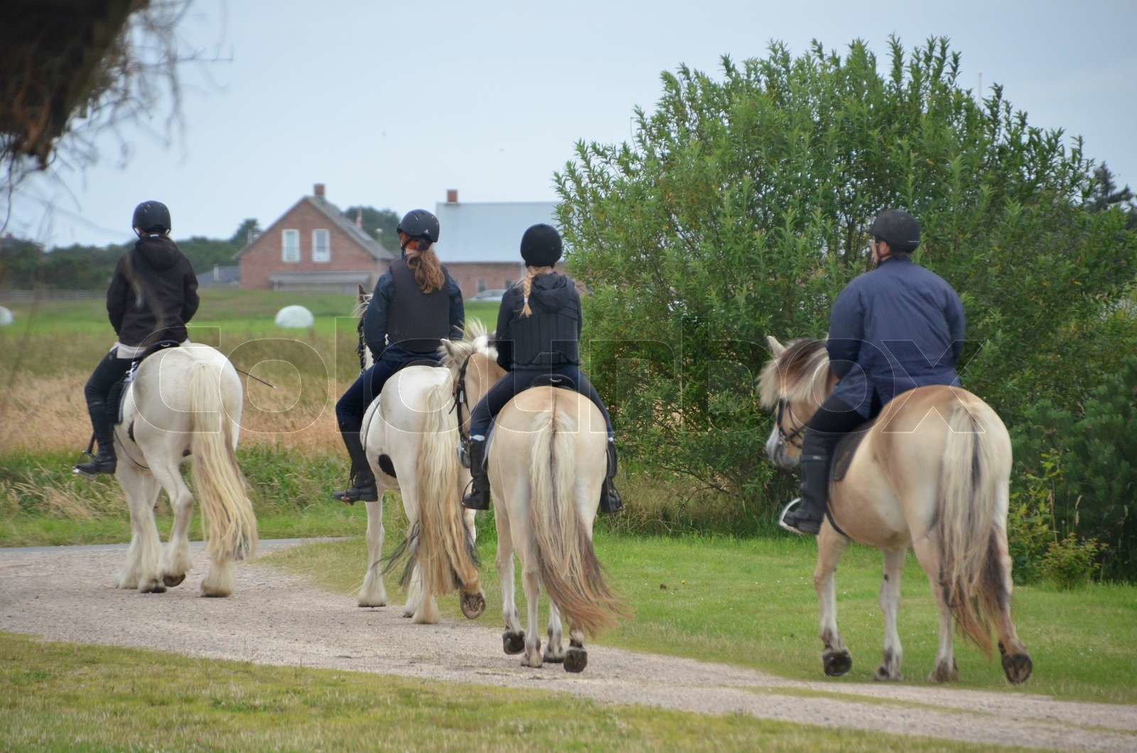 tur ridning i sandklitterne ved vesterhavet langs den jyske vestkyst ...