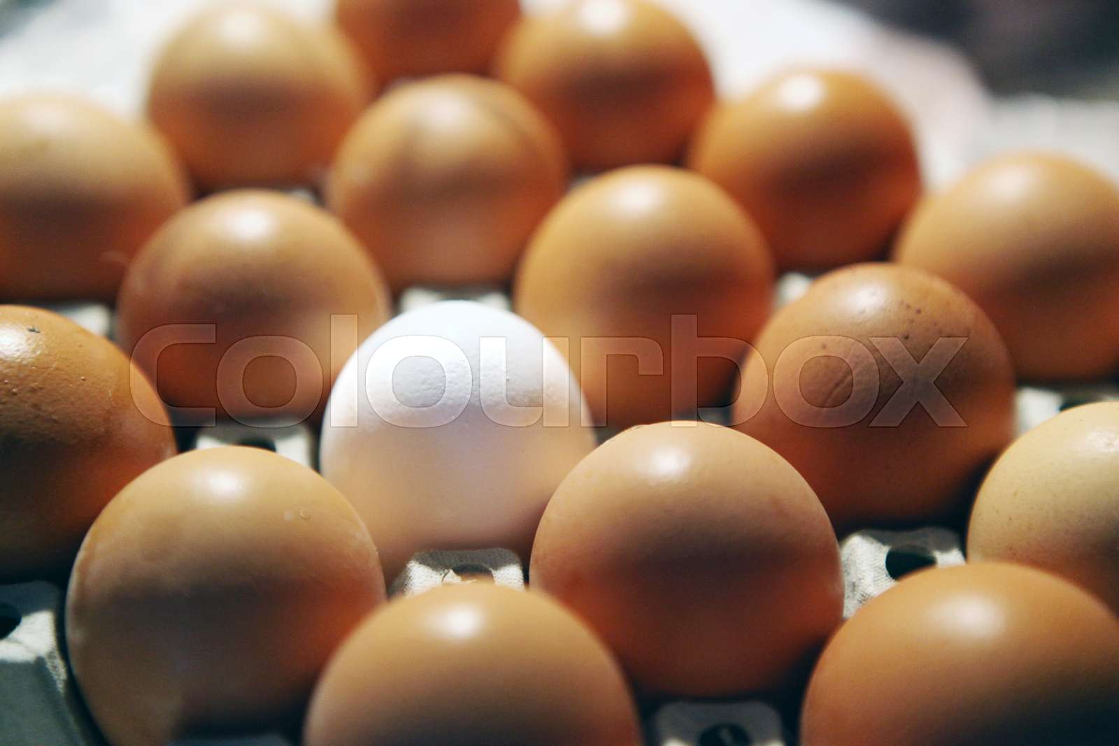 Farm fresh shell eggs for sale at a market | Stock image | Colourbox