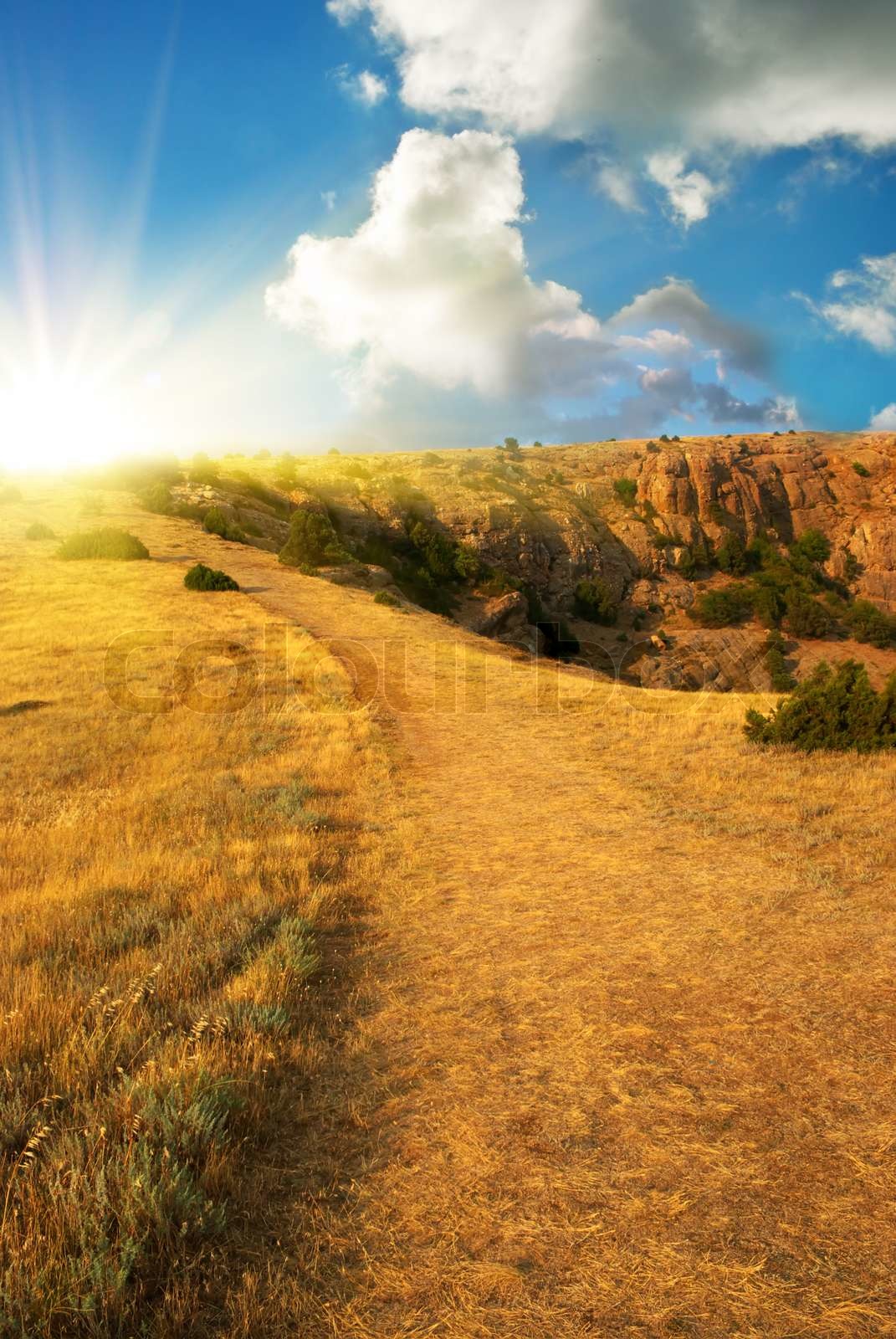 Hill and sunshine | Stock image | Colourbox