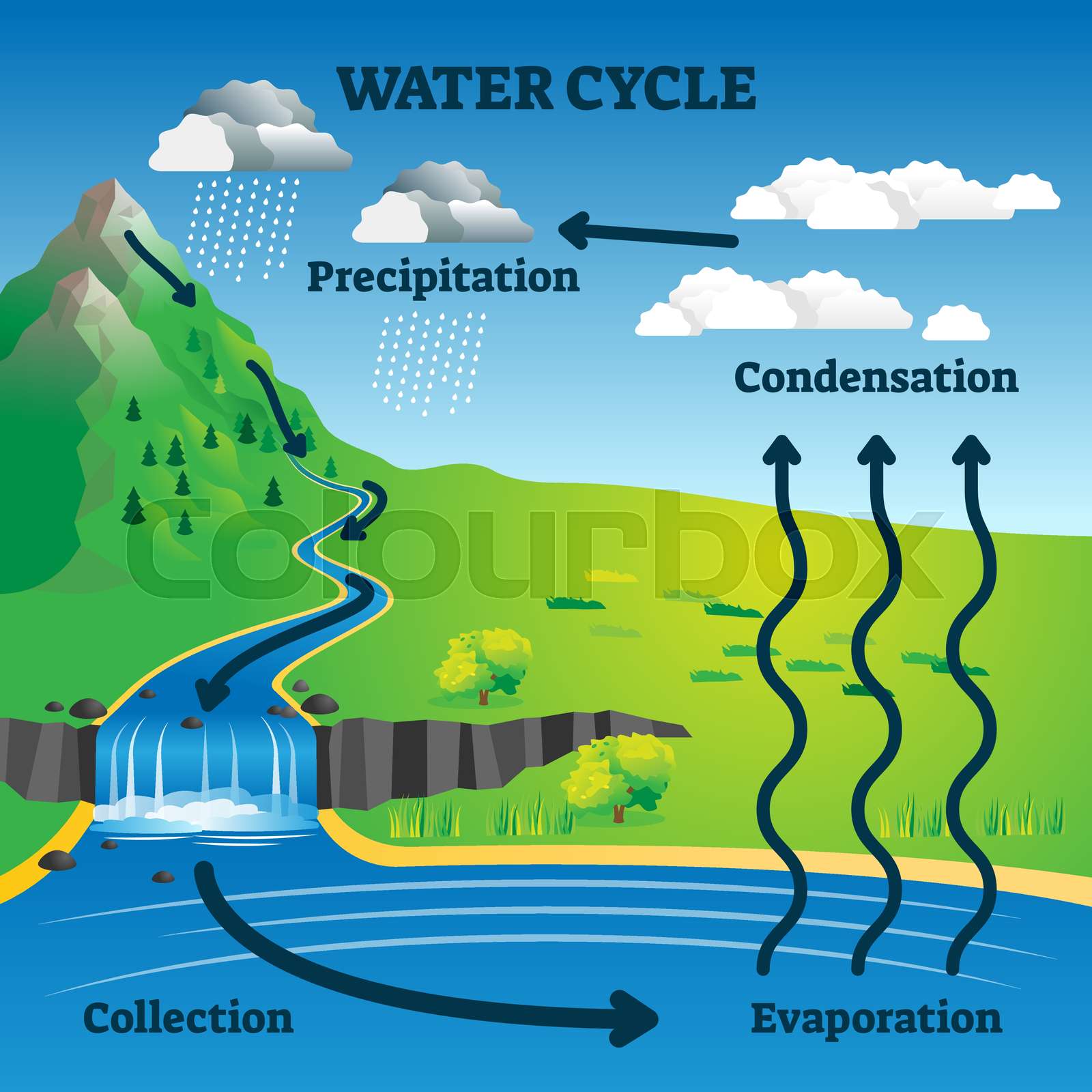 Water Cycle Clipart