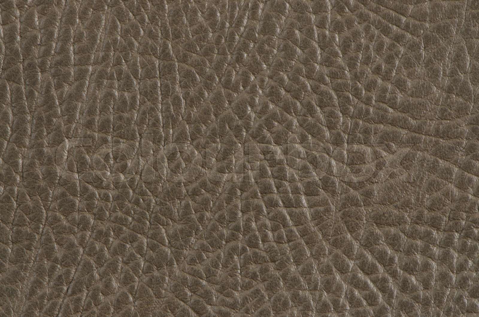 leather | Stock image | Colourbox