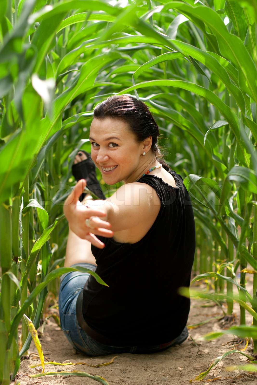 Beautiful woman in a corn field | Stock image | Colourbox