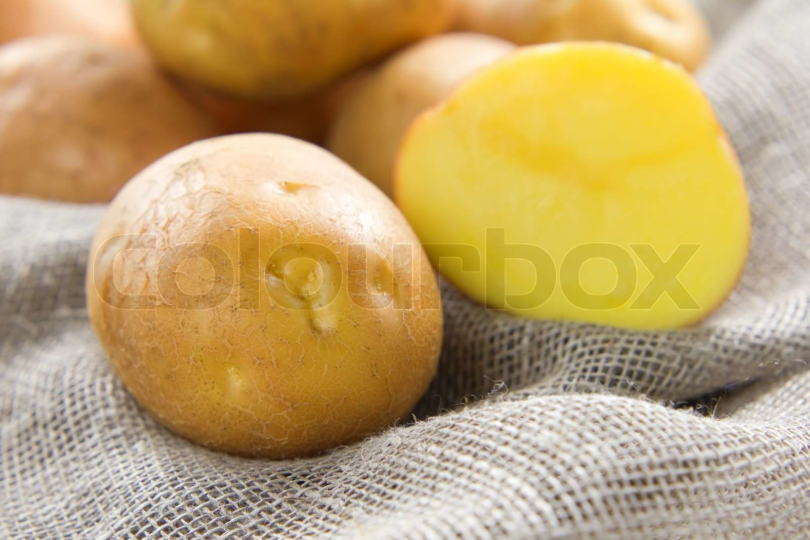 Potato | Stock image | Colourbox