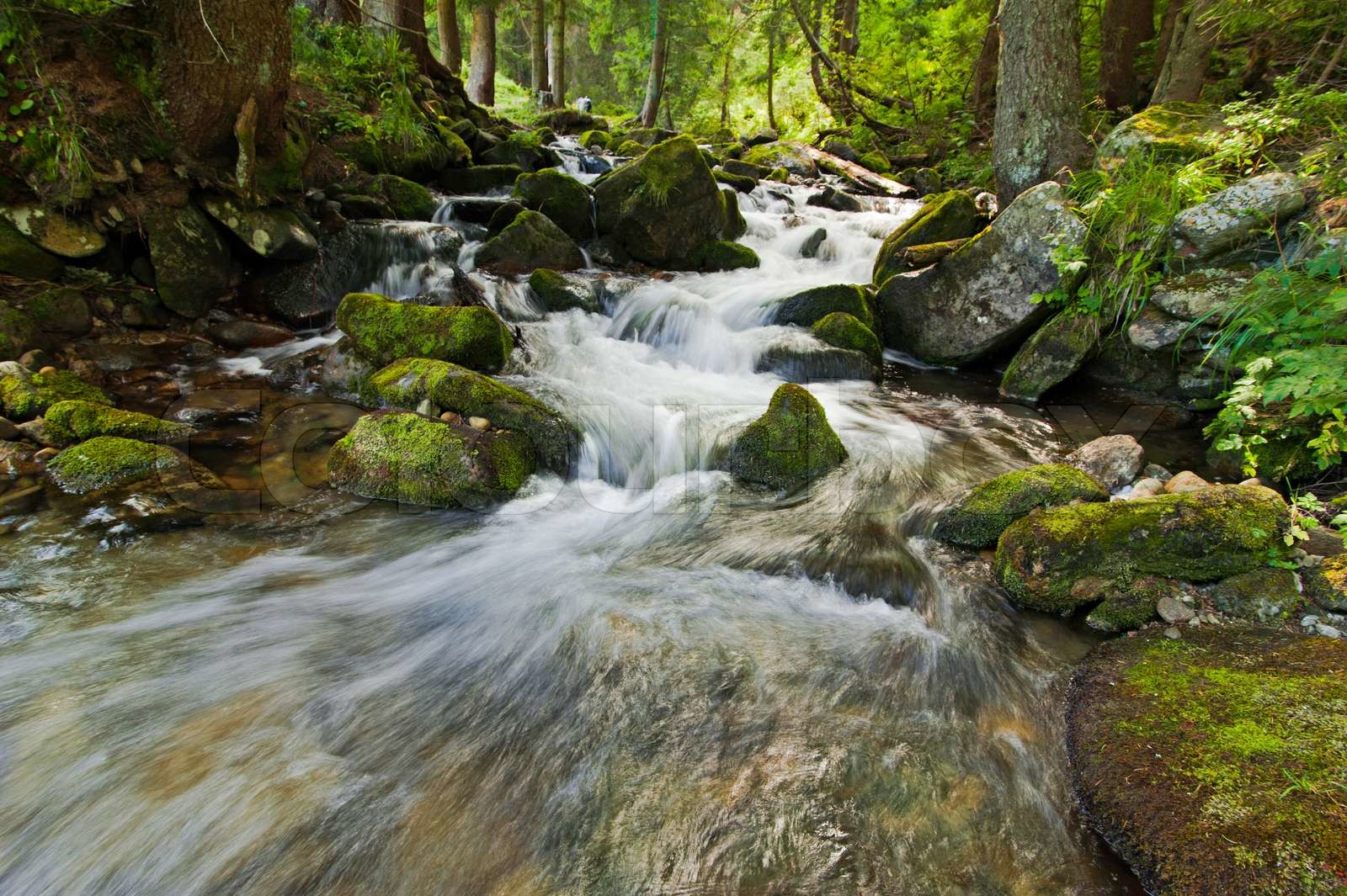 flod, svævende, strømme | Stock foto | Colourbox