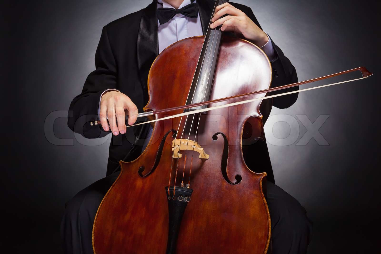 Musician | Stock image | Colourbox