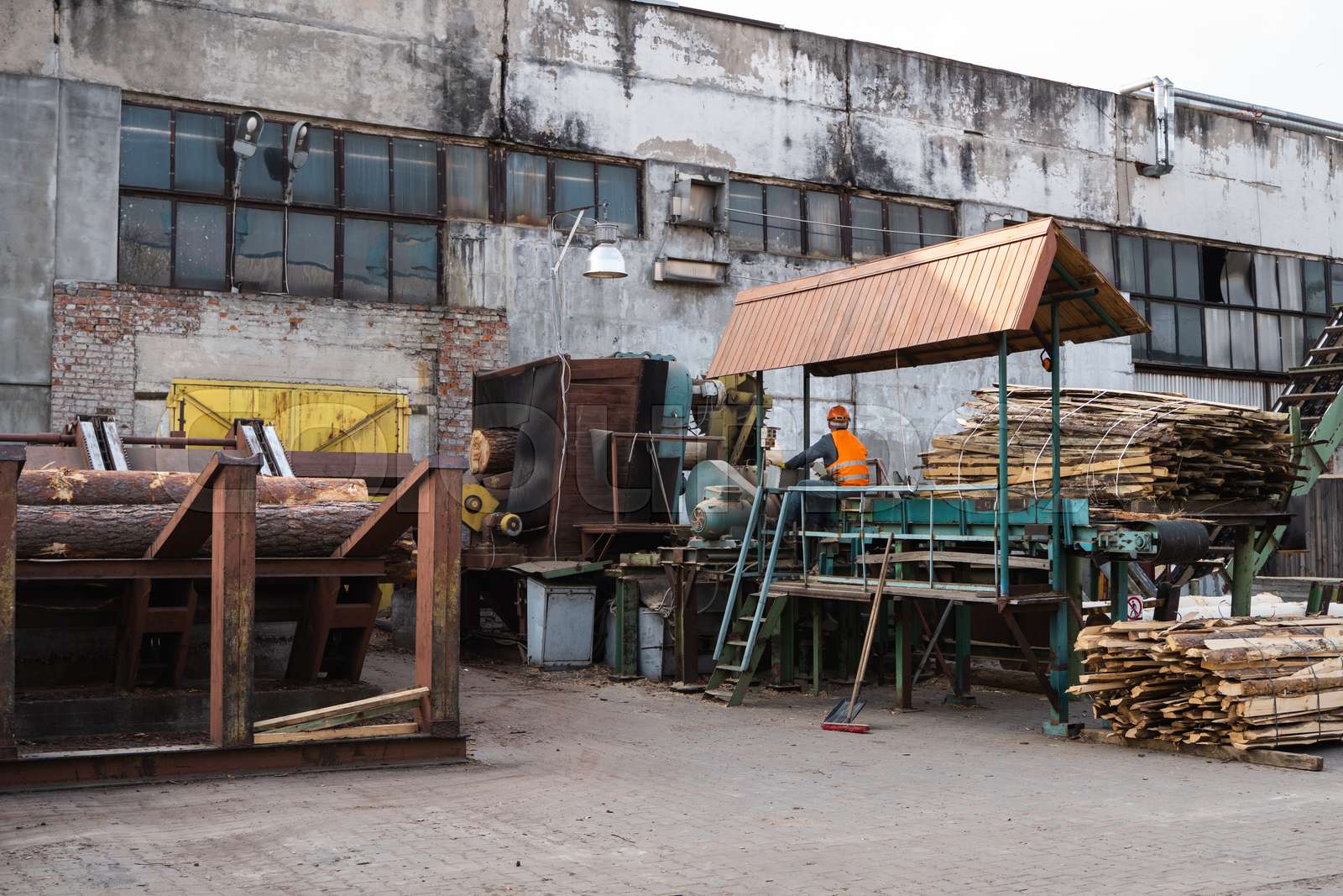 Bark removal from large logs on sawmill. Preparation of the wooden logs ...