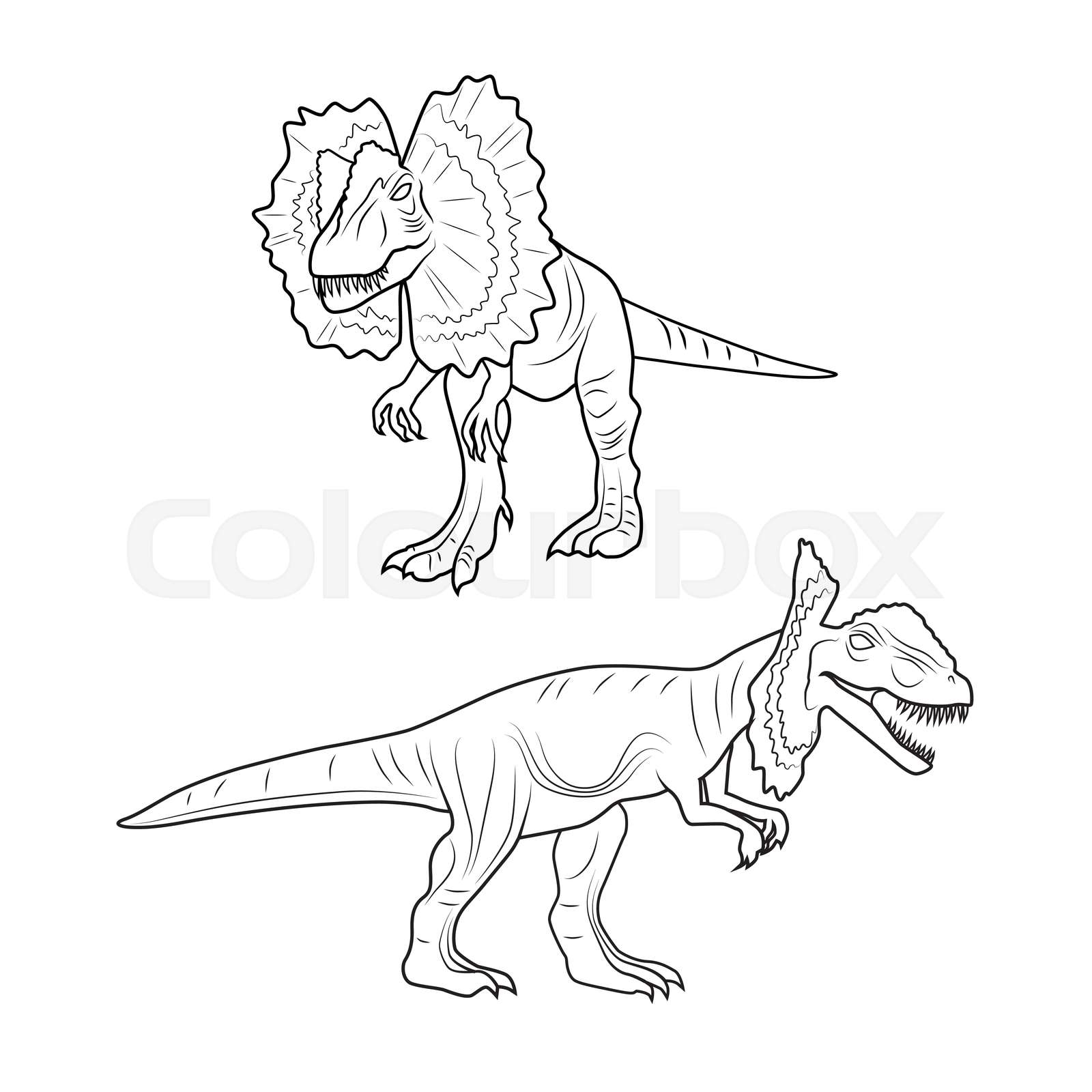 kontur, design, illustration | Stock vektor | Colourbox