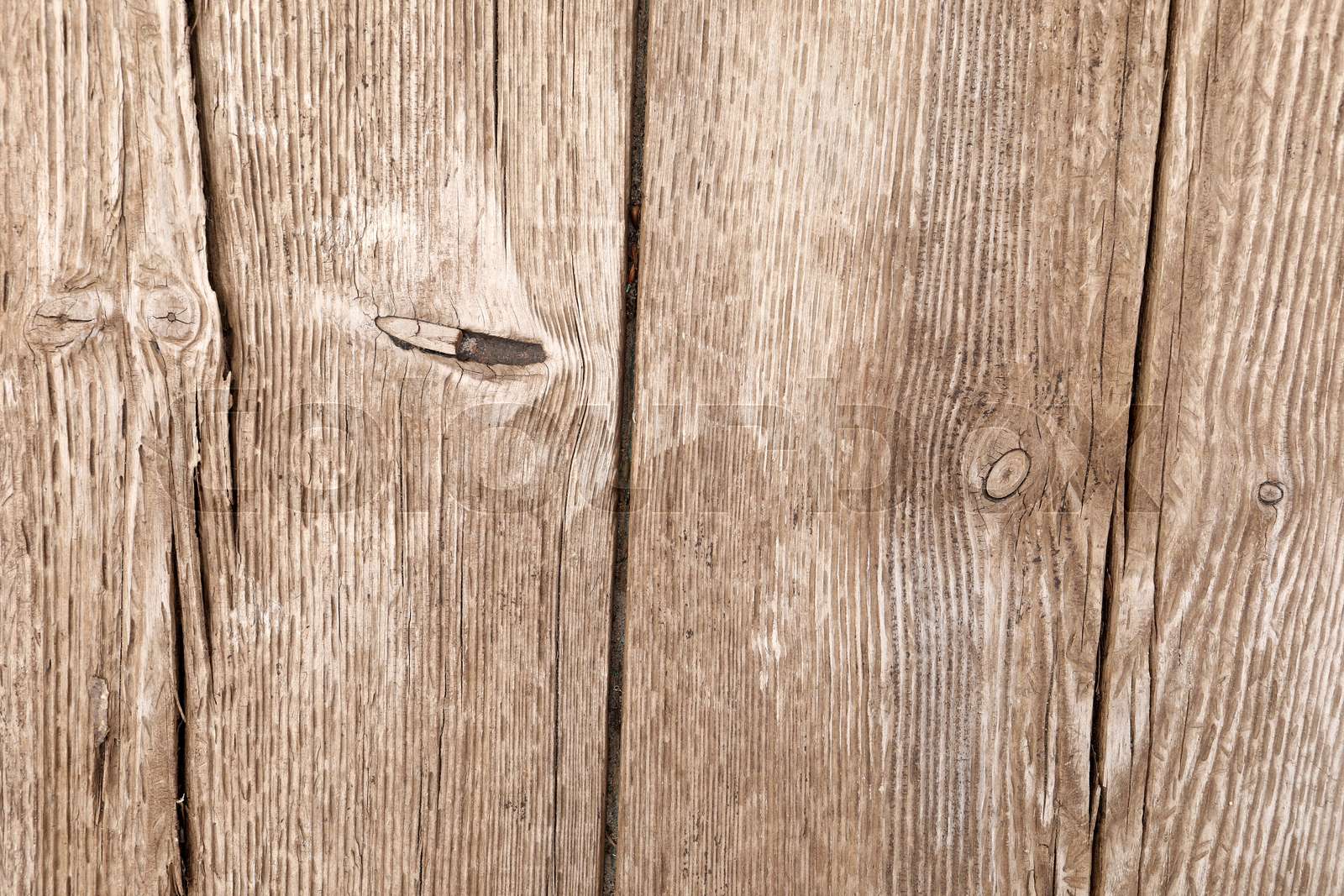 baum, holz, holz- | Stock Bild | Colourbox