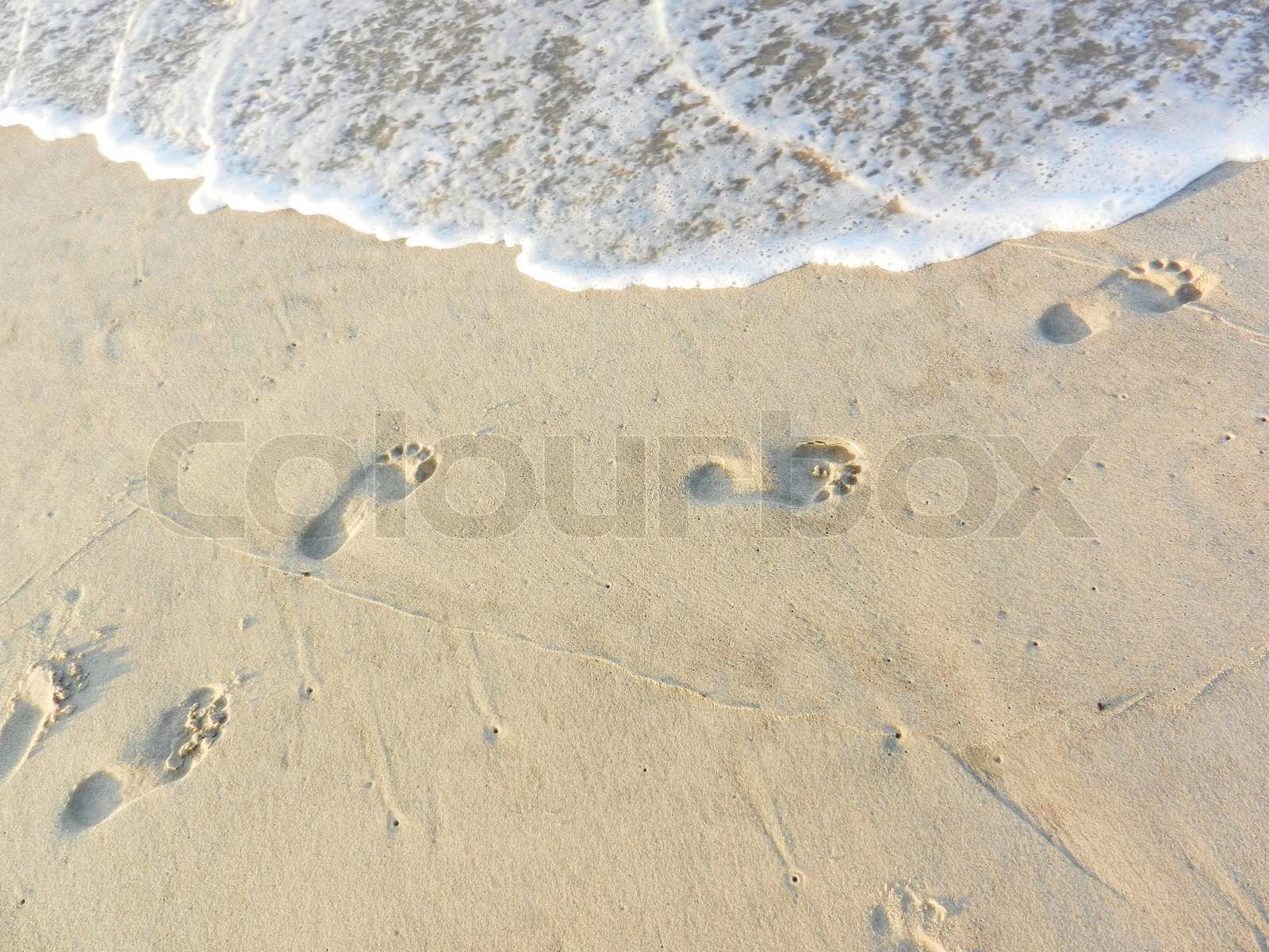 footprint | Stock image | Colourbox