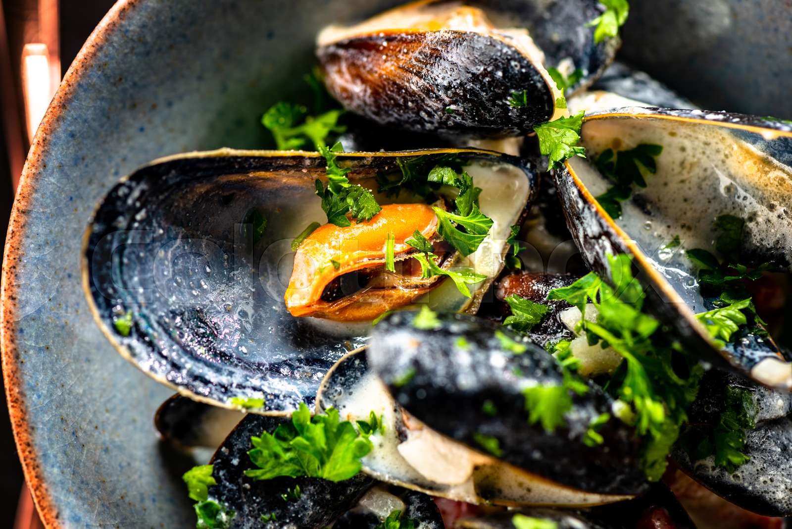 Cooked Blue mussels | Stock image | Colourbox