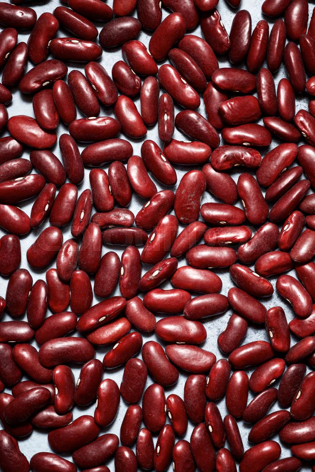 Haricot beans close up | Stock image | Colourbox