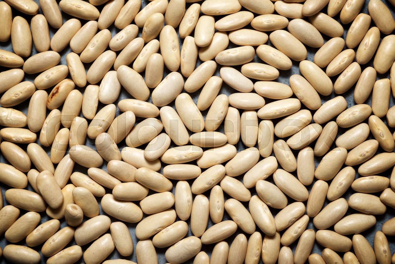 Haricot beans close up | Stock image | Colourbox