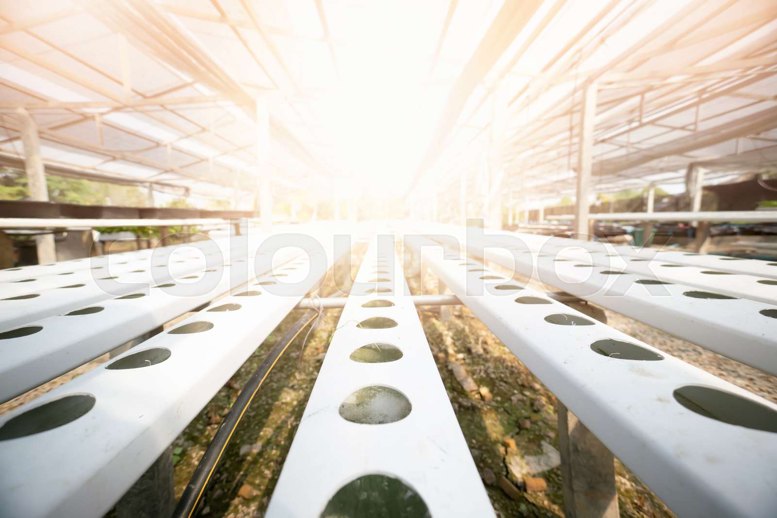 Organic vegetable growing plots. Industrial concept | Stock image | Colourbox