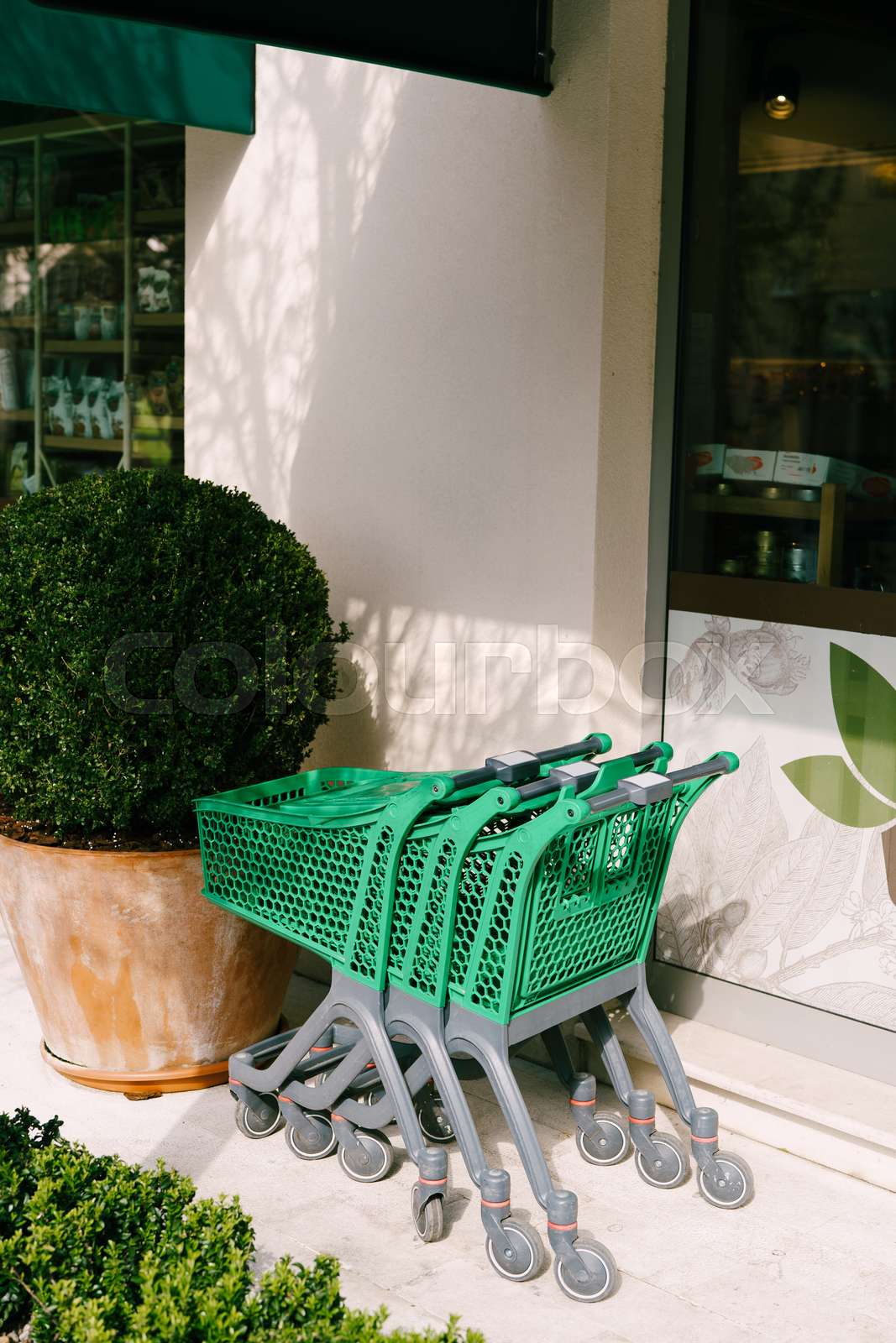 Supermarket trolleys. Green plastic trolleys from the supermarket ...
