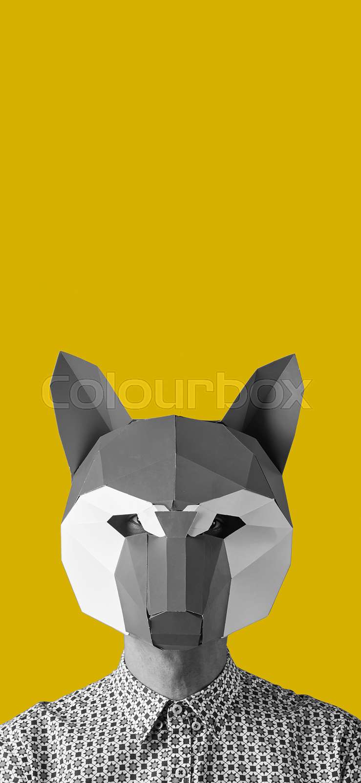 man with a fox mask, in stories format | Stock image | Colourbox