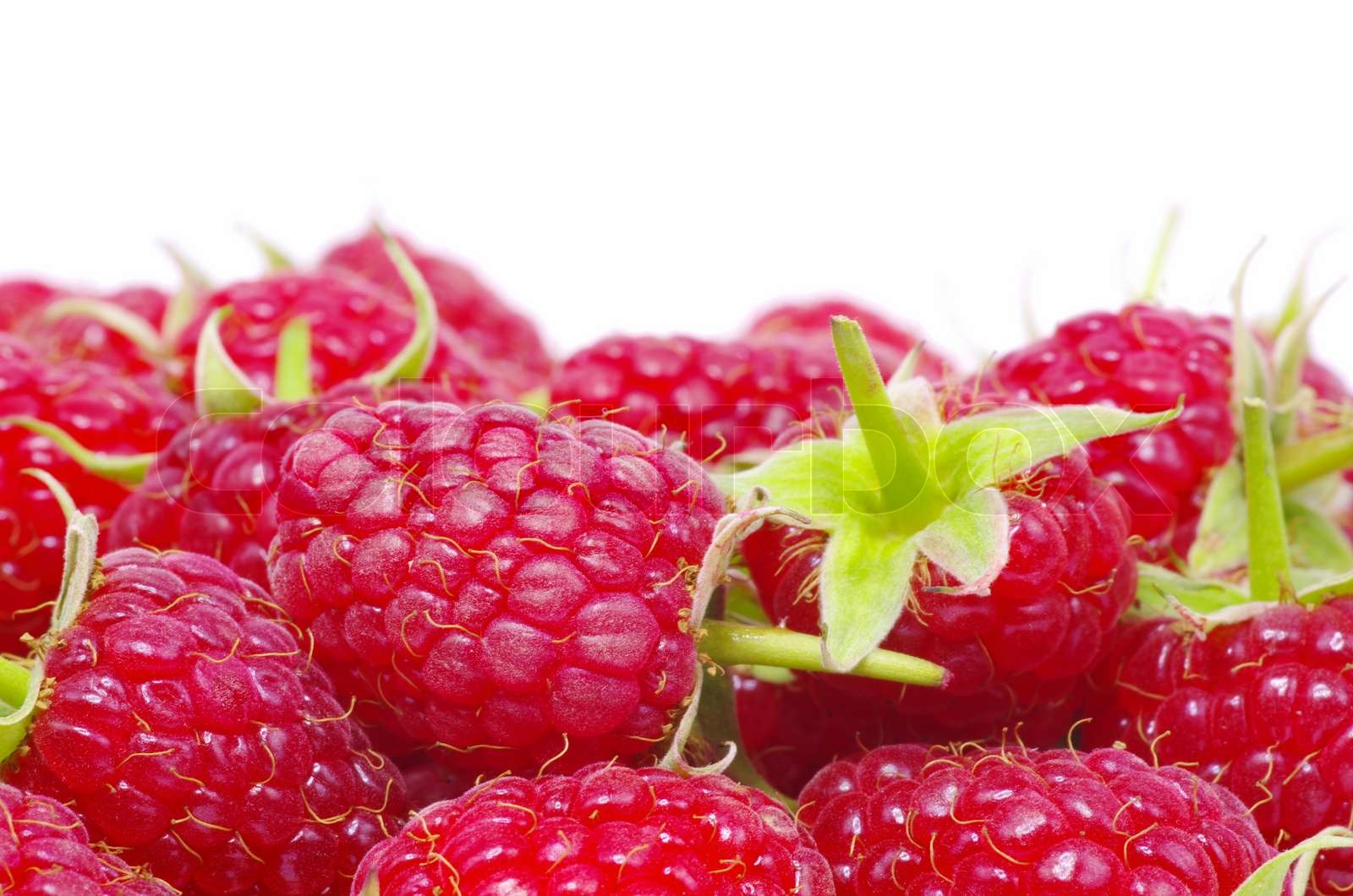 raspberry | Stock image | Colourbox