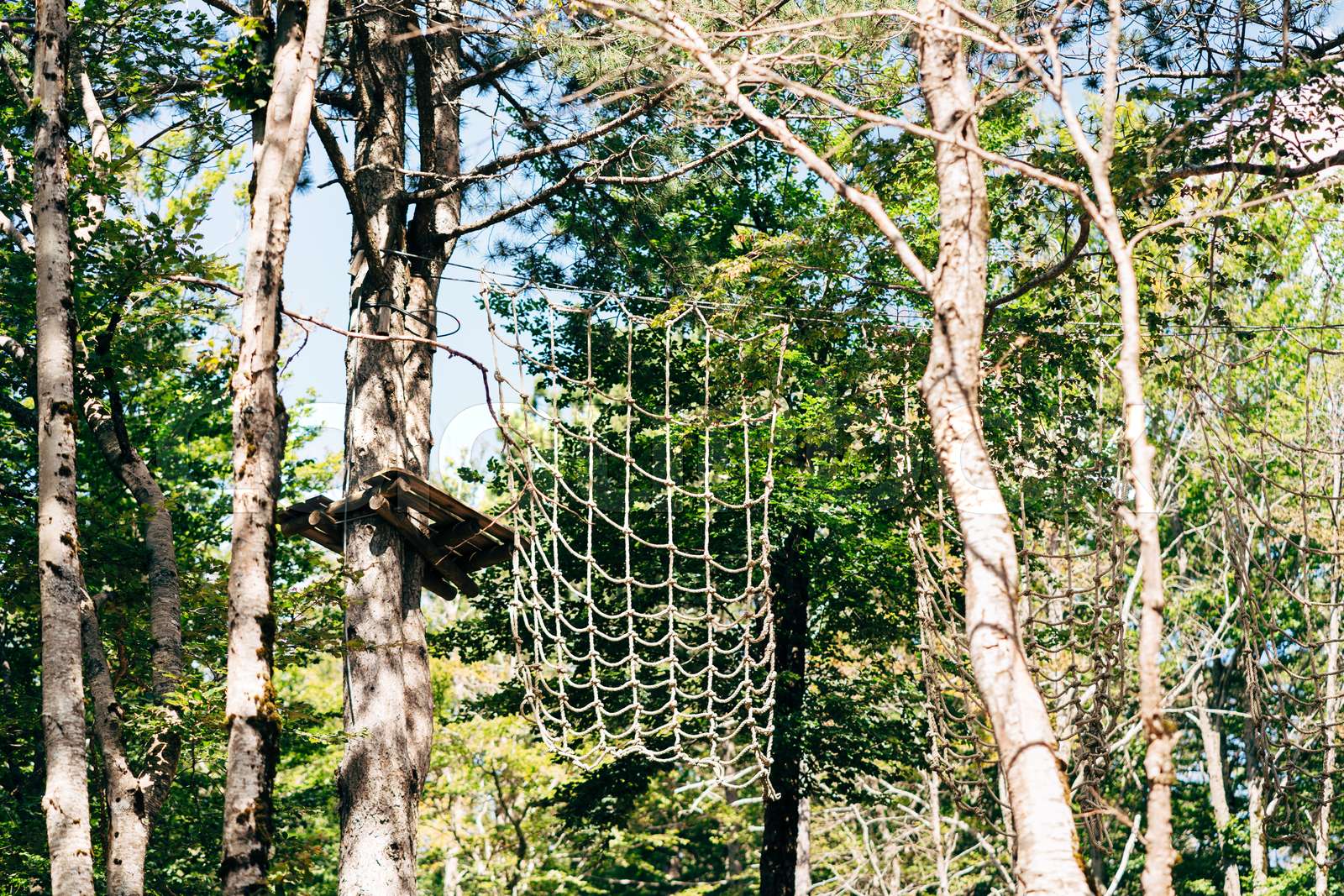 Climbing park high in the trees. Obstacle course in amusement park ...