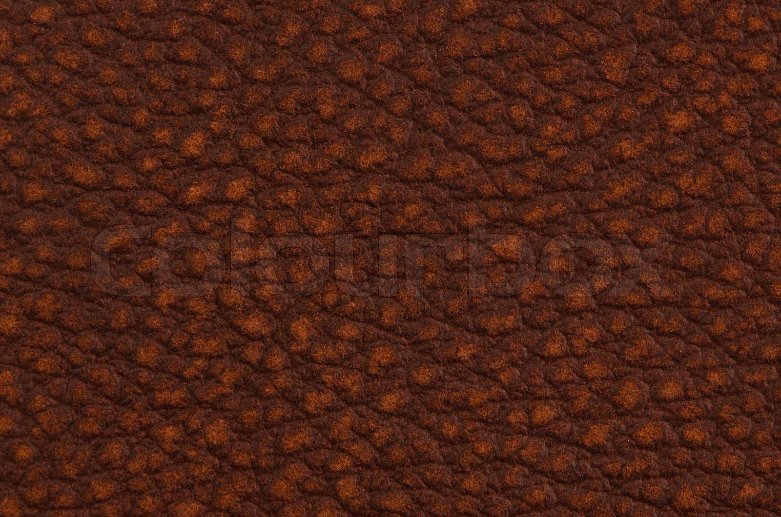 Brown leather | Stock image | Colourbox