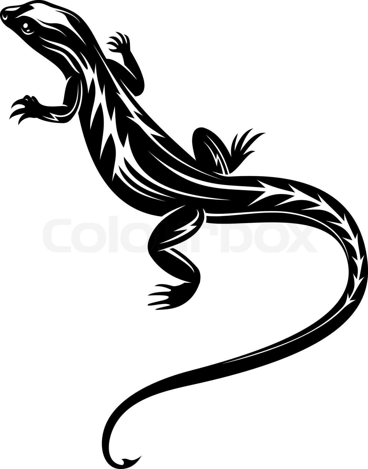 Black lizard reptile | Stock vector | Colourbox