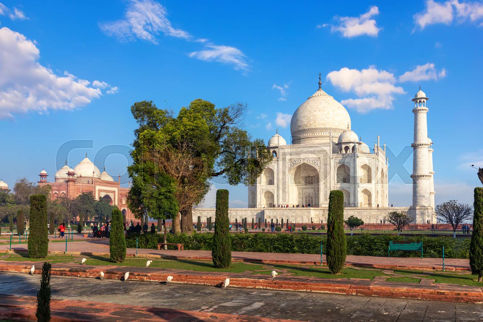 Taj Mahal, famous landmark of India, Agra | Stock image | Colourbox