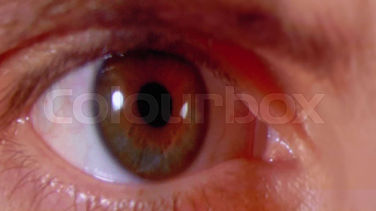 Human Eye on TV Screen Pixels Fluctuates with Color. RGB Monitor Pixels ...