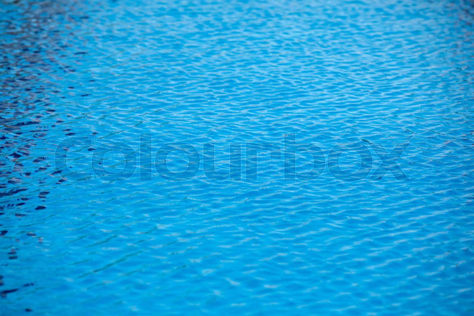 Blue and crystalline water of a swimming pool | Stock image | Colourbox
