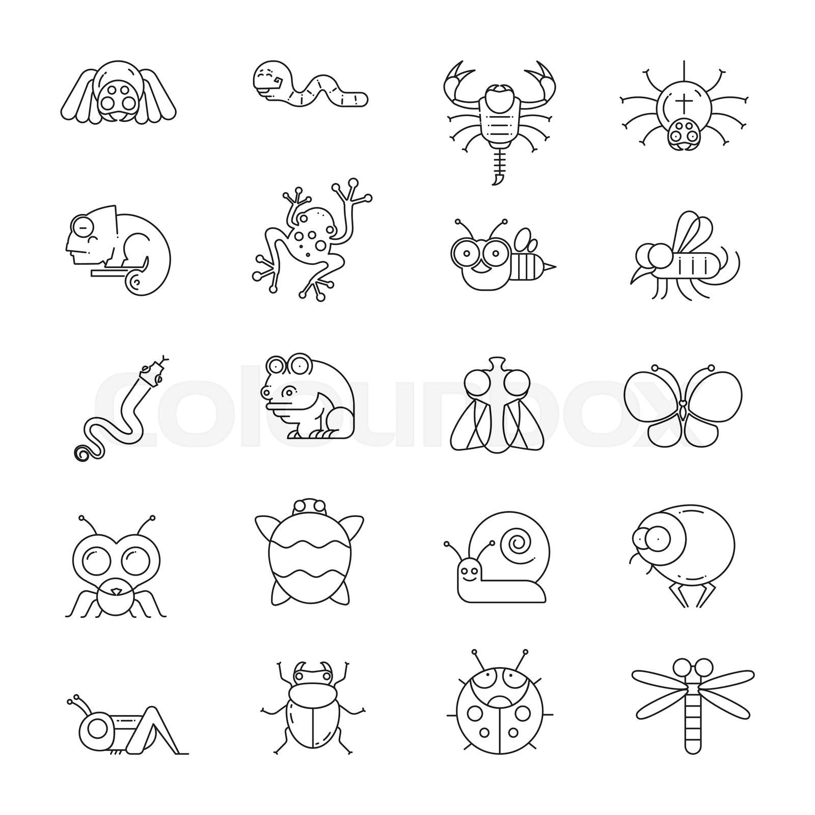 Insect Vector Line Icons, Minimal Pictogram Design, Editable Stroke For ...