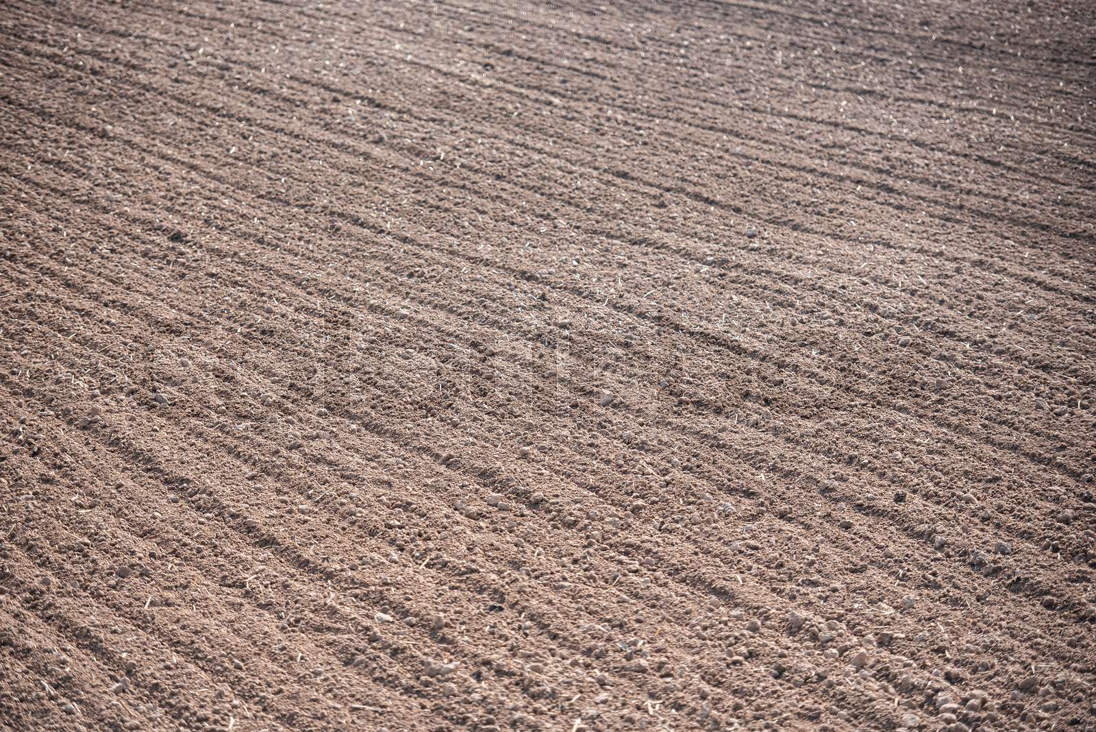 row in a plow field prepared for planting crops in spring - plowed ...