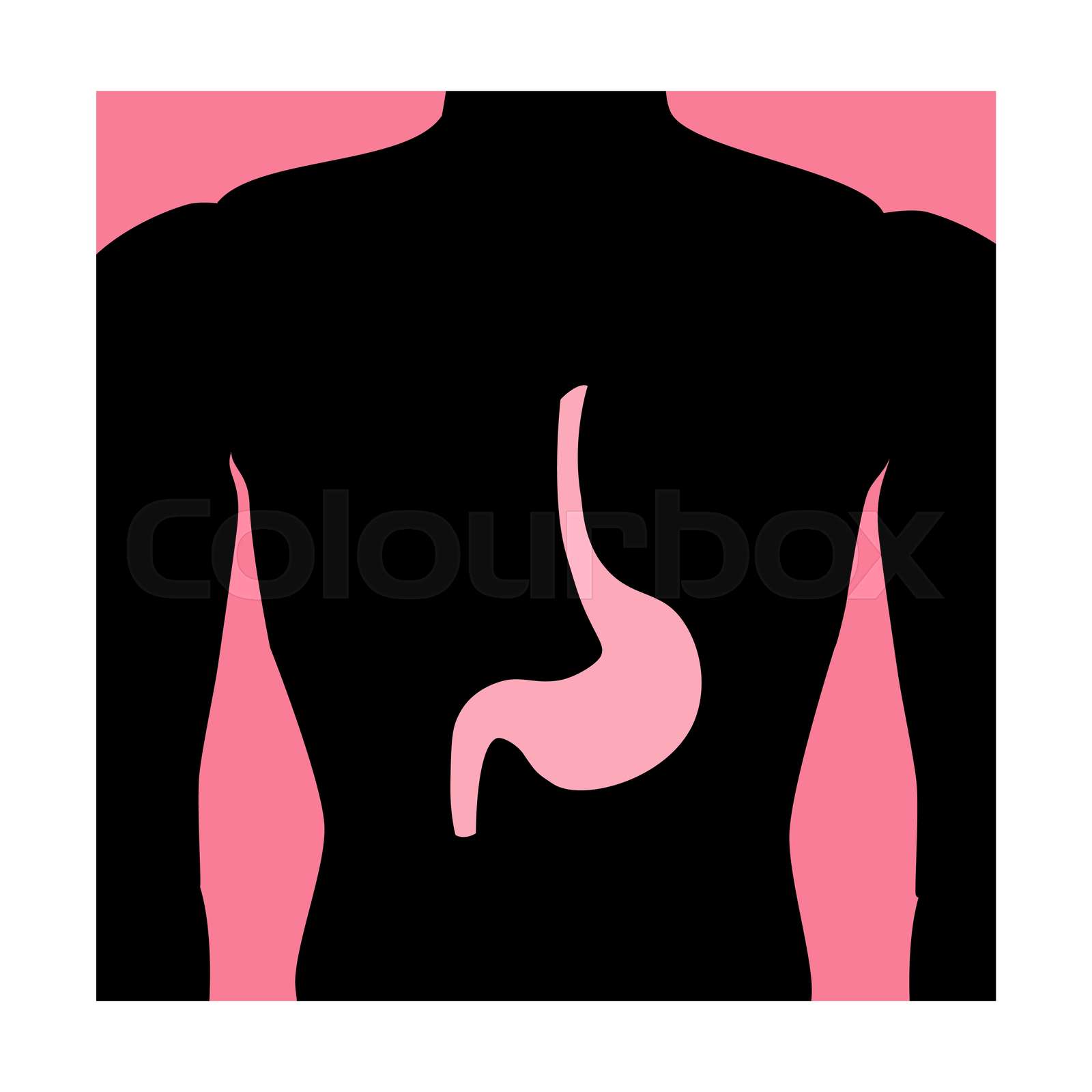 Human stomach health and care vector illustration | Stock vector ...