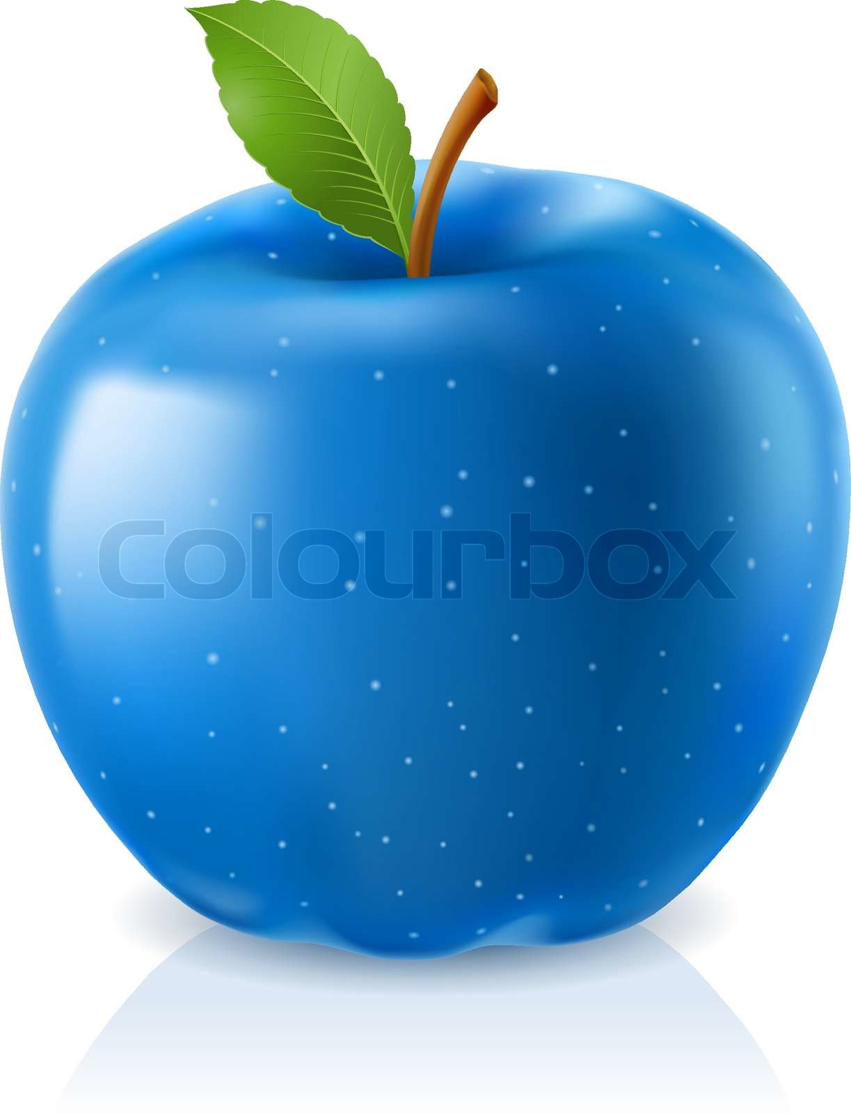 köstliche blau Apfel | Stock-Vektor | Colourbox