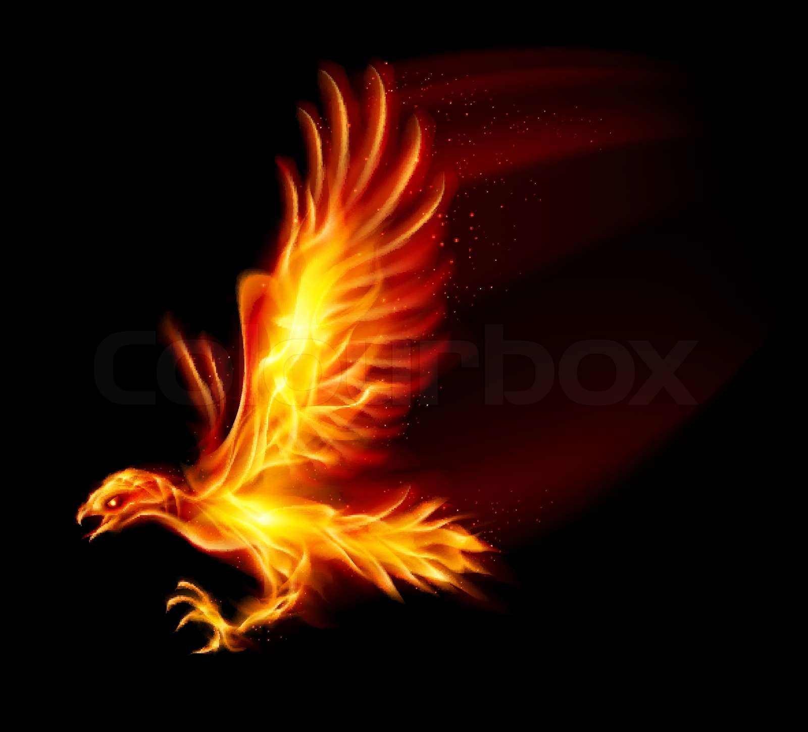 Flaming Hawk | Stock vector | Colourbox