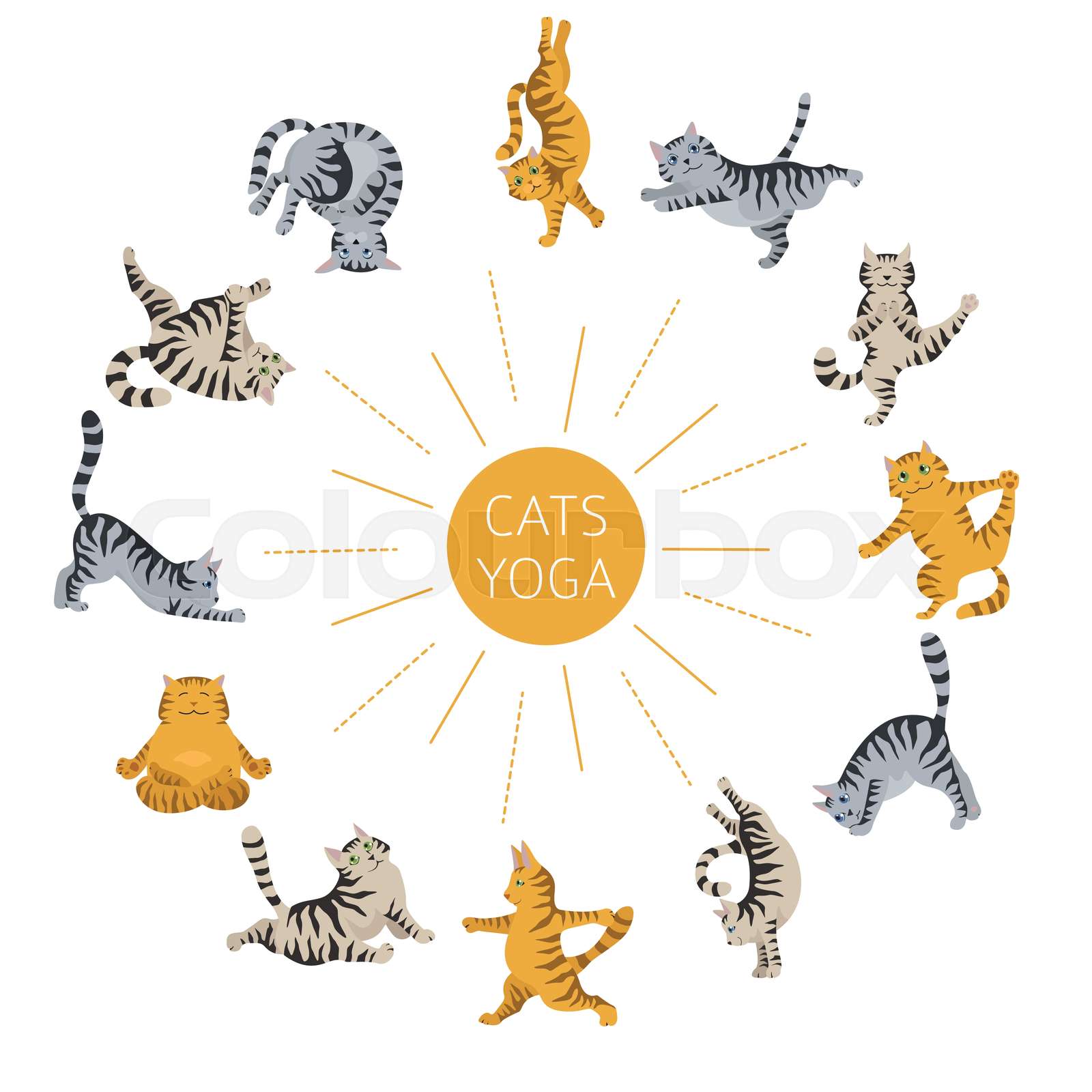 Cats yoga. Different yoga poses and exercises. Striped and tabby cat ...