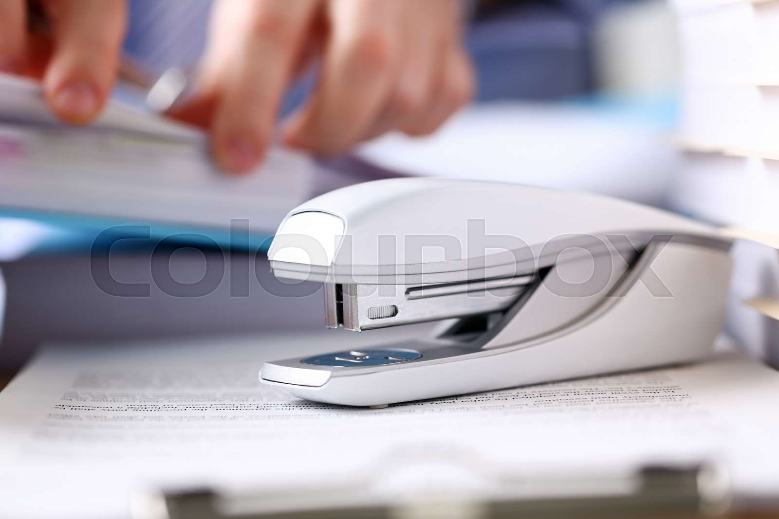 White stapler on workplace | Stock image | Colourbox