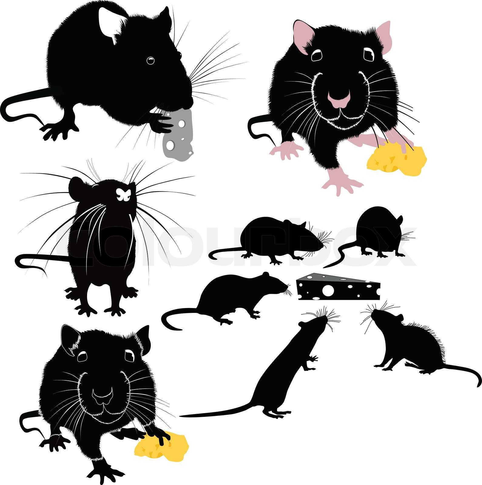 Rats | Stock vector | Colourbox