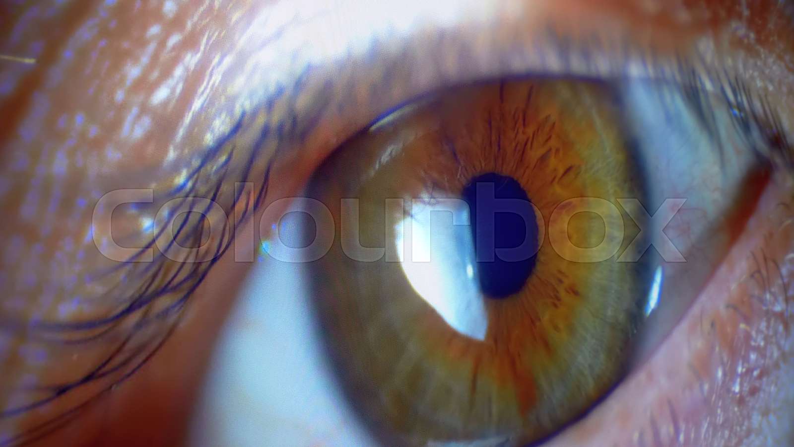 Human Eye on TV Screen Pixels Fluctuates with Color. RGB Monitor Pixels ...